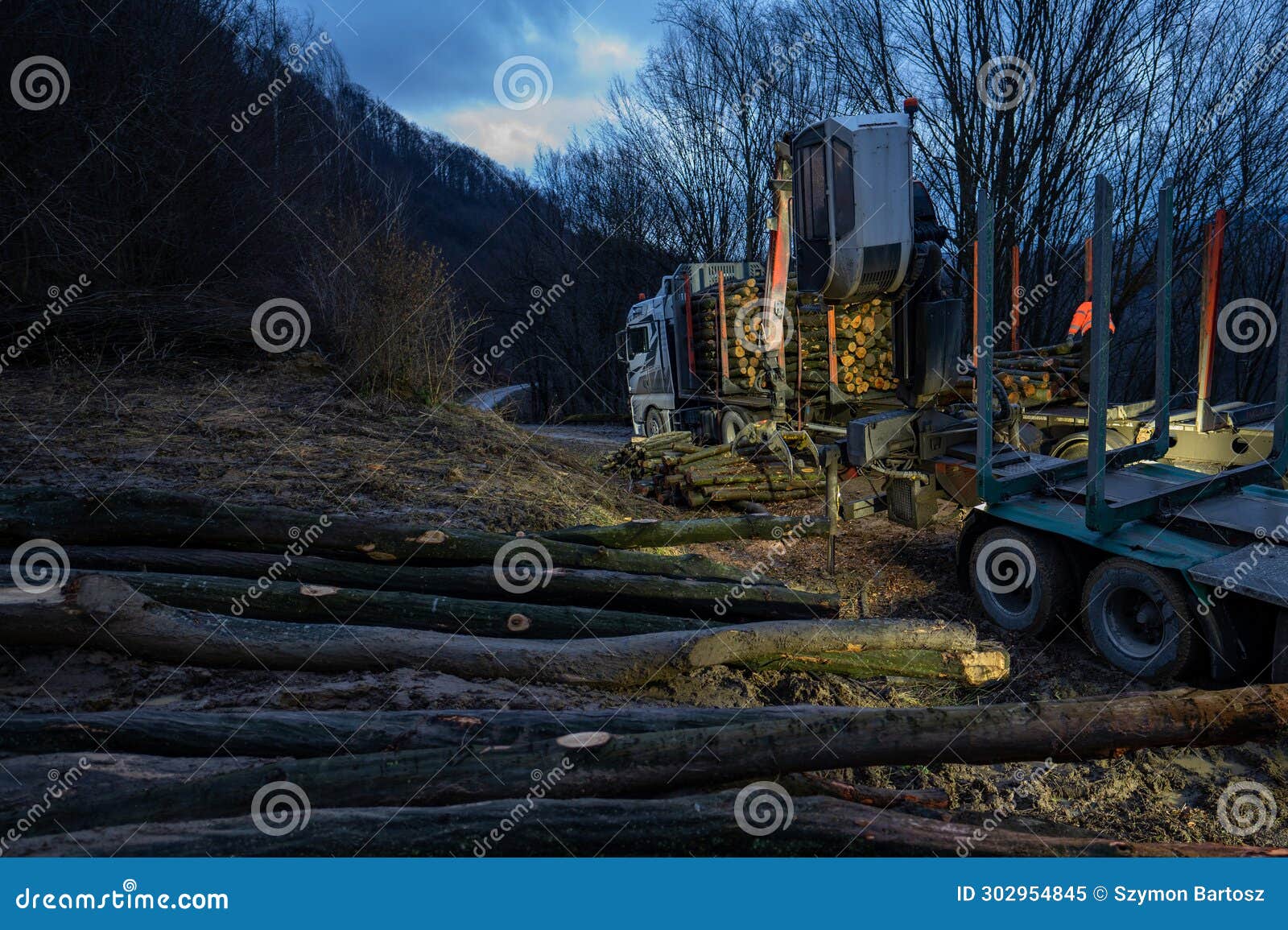 Loading Wood Chipper With Tree Branches For Shredding Close Up Stock ... Loading Wood Chipper With Tree Branches For Shredding Close Up Stock ...