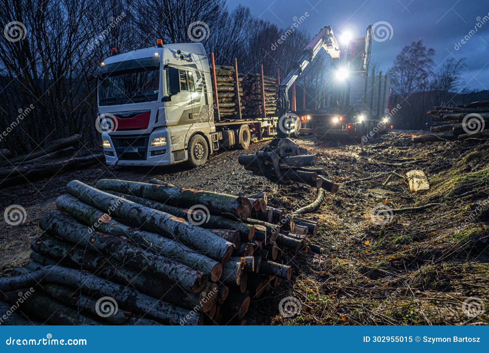 Loading Wood Chipper With Tree Branches For Shredding Close Up Stock ... Loading Wood Chipper With Tree Branches For Shredding Close Up Stock ...
