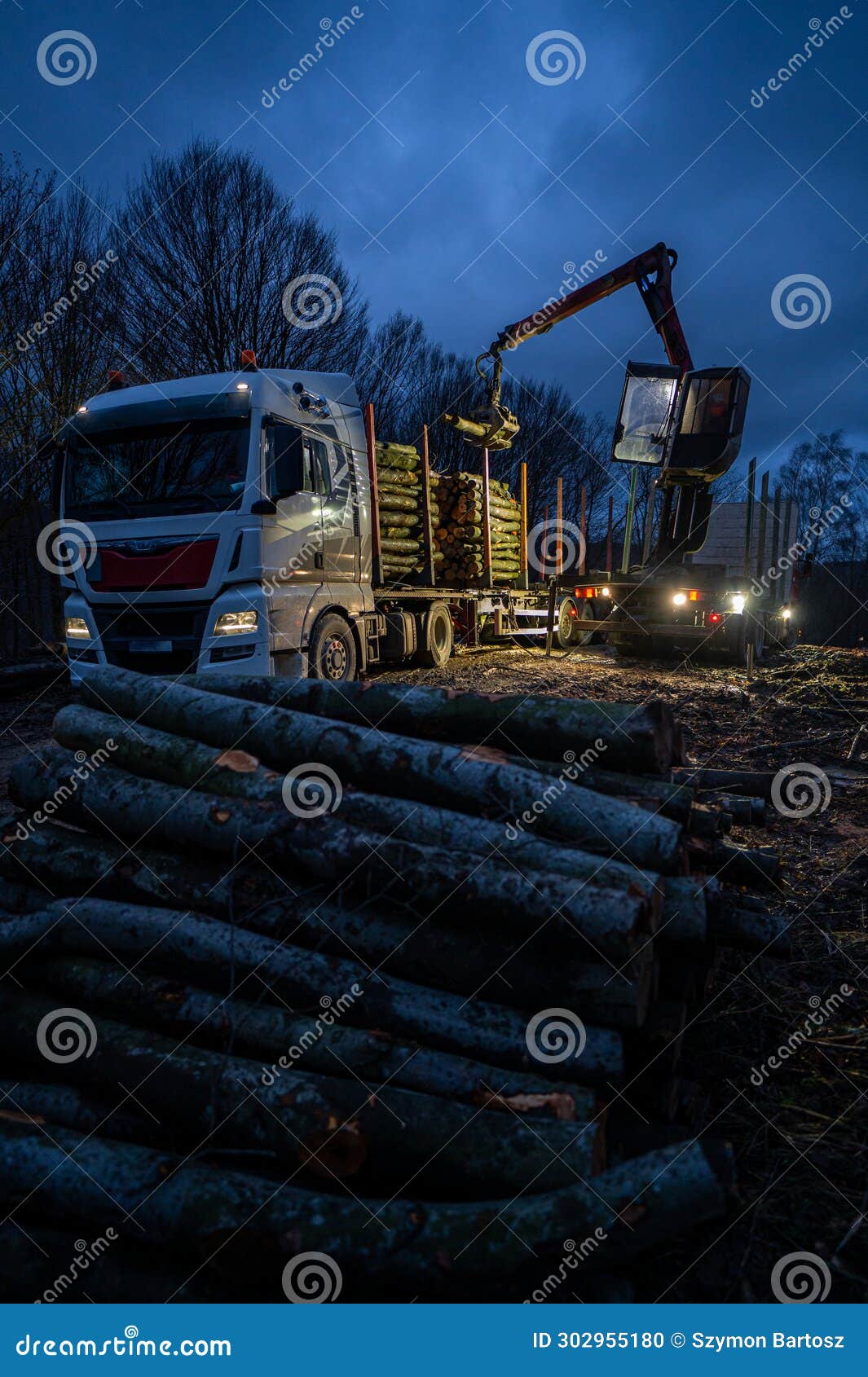 Loading Wood Chipper With Tree Branches For Shredding Close Up Stock ... Loading Wood Chipper With Tree Branches For Shredding Close Up Stock ...