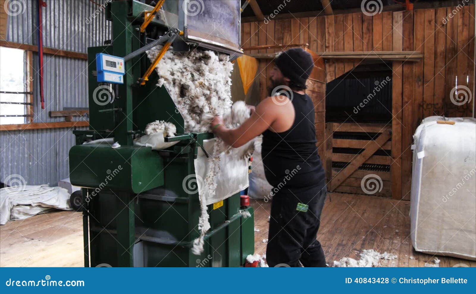 Loading wool bale press stock footage. Video of shot - 40843428