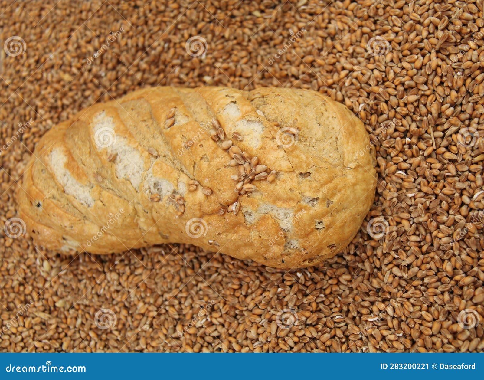 Loaf of Bread. stock image. Image of icing, crusty, wheat - 283200221