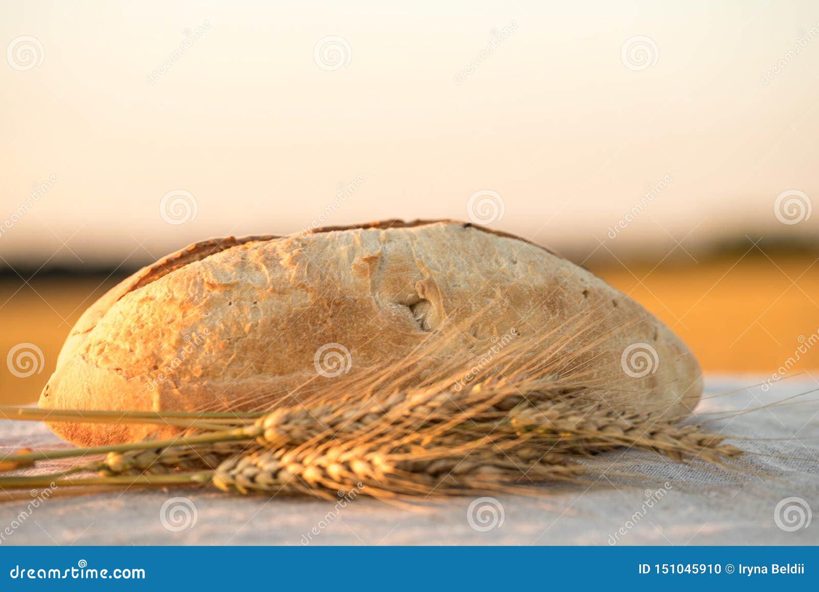 A loaf of bread in the sun stock photo. Image of grain - 151045910