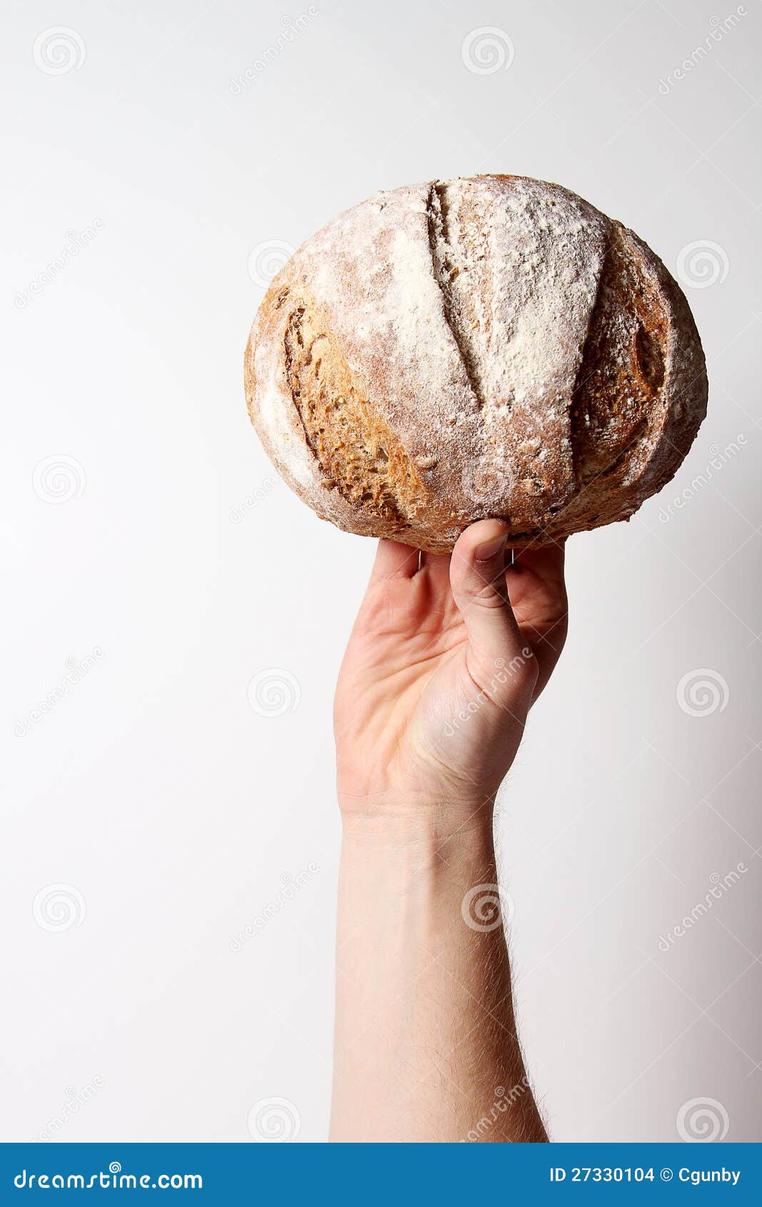 Loaf of the Day stock photo. Image of baking, grain, hand - 27330104