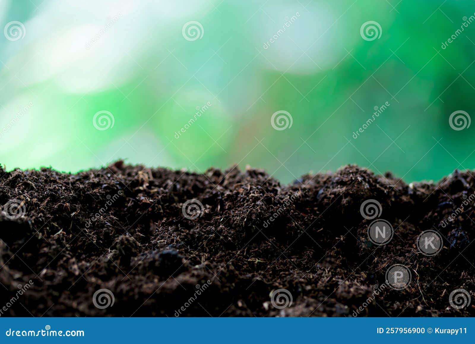 Loamy Soil is Rich and Has Iconic Technology about Soil Nutrients that ...