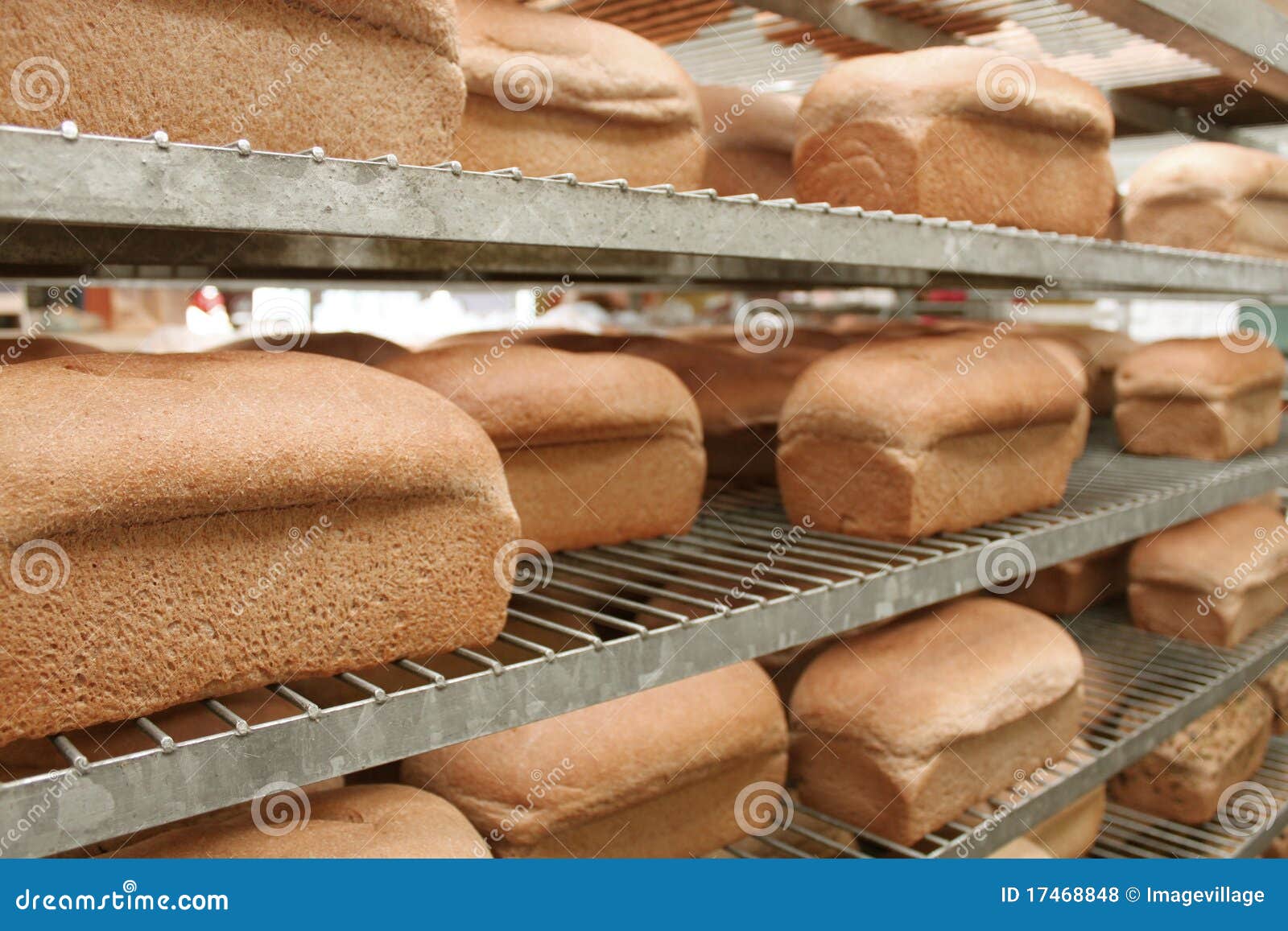 Loaves of bread in bakery stock photo. Image of brown - 17468848