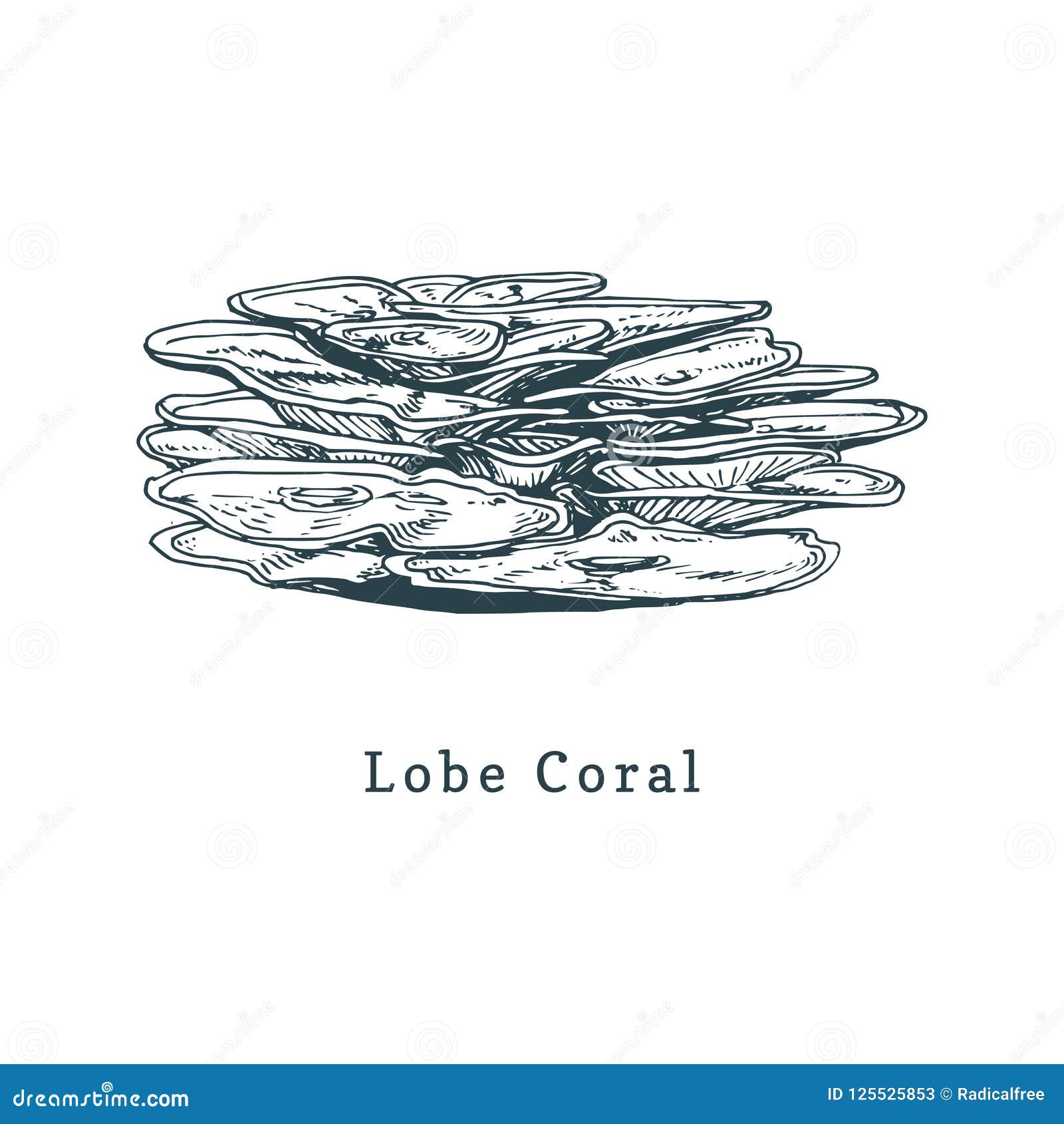 3d Illustration Of Polyp With Blood Veins, Isolated Black Background ...