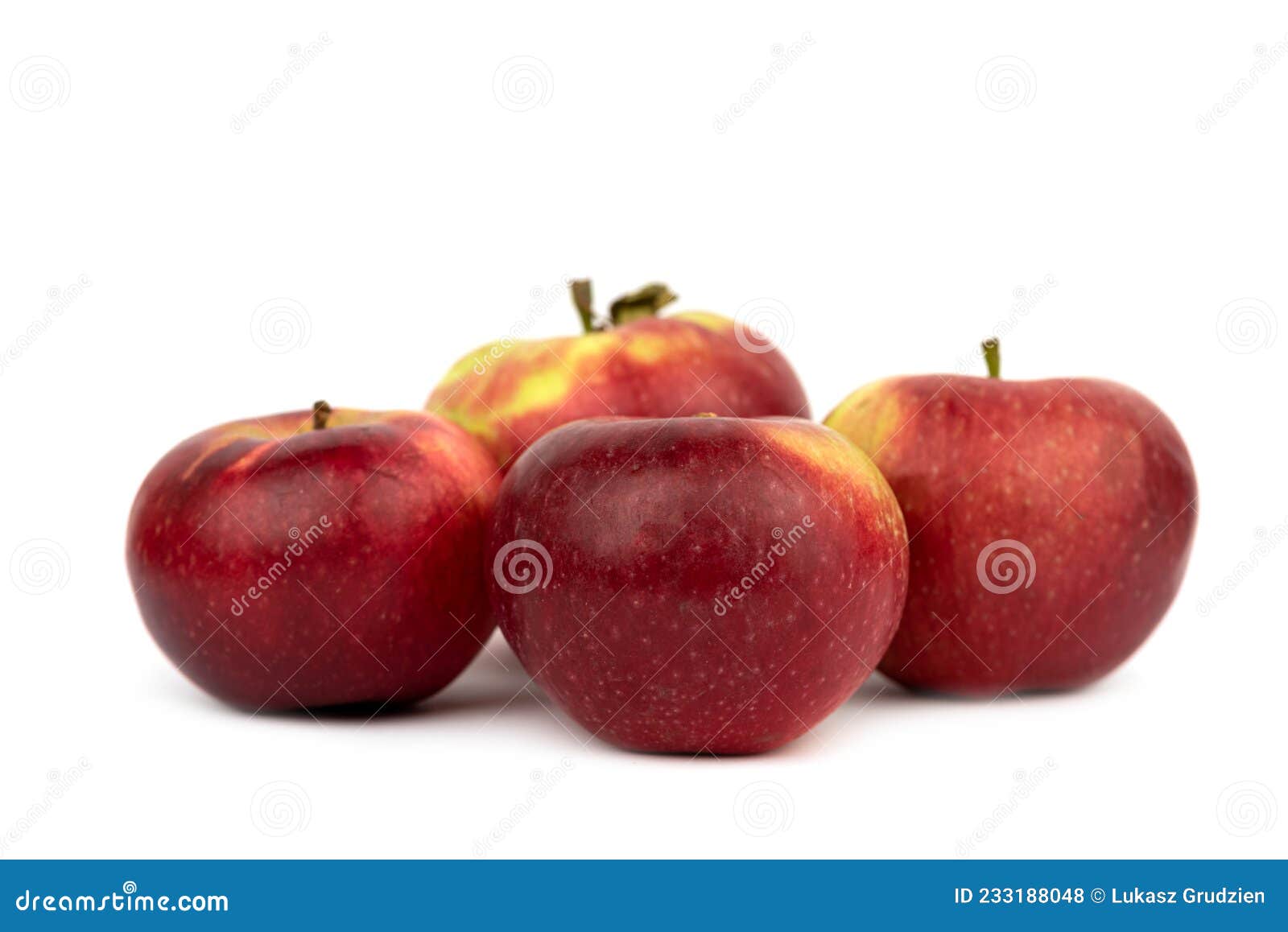 Lobo Apple stock photo. Image of fresh, histamine, delicious - 233188048