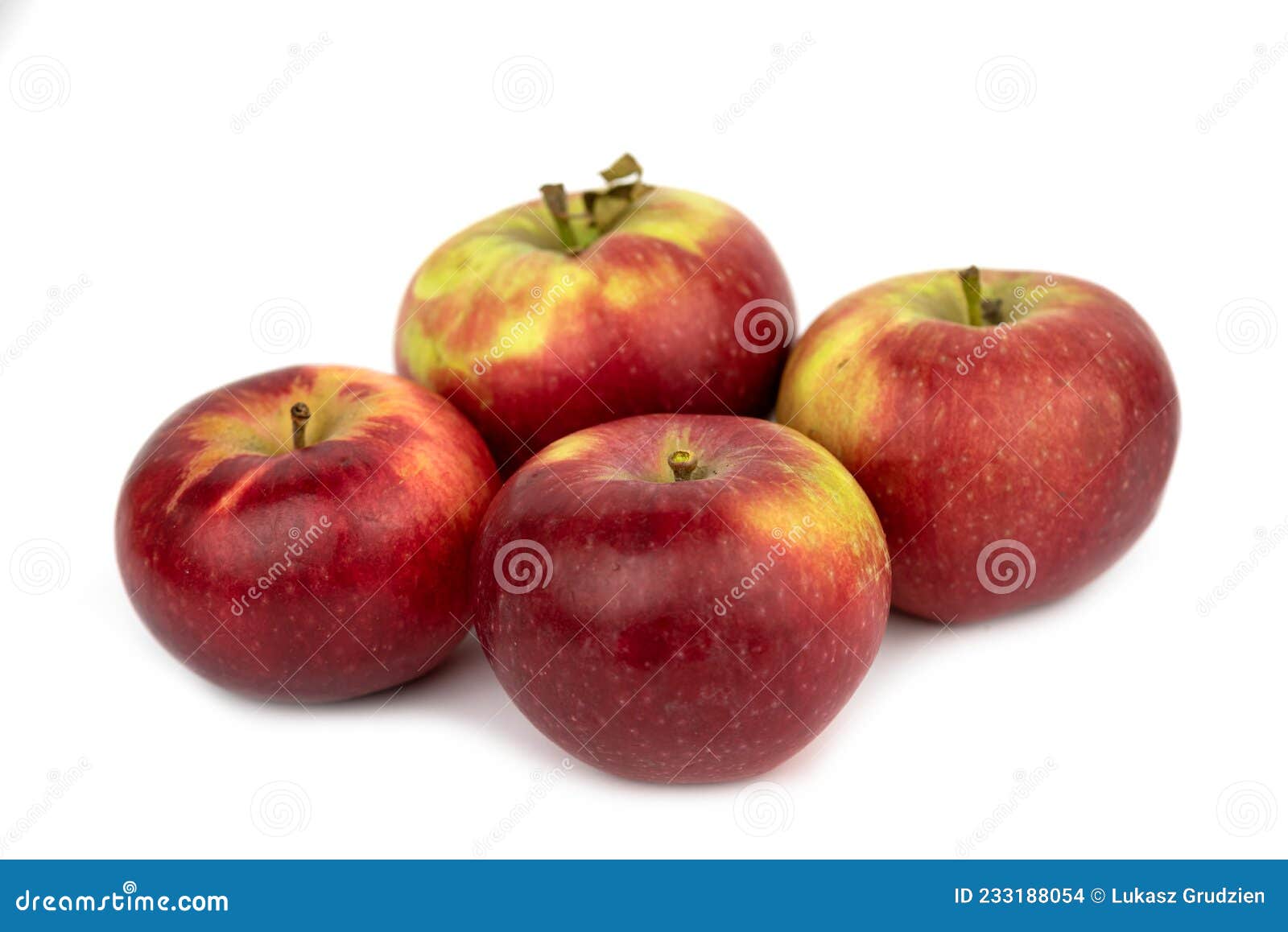 Lobo Apple stock photo. Image of fresh, diet, juicy - 233188054