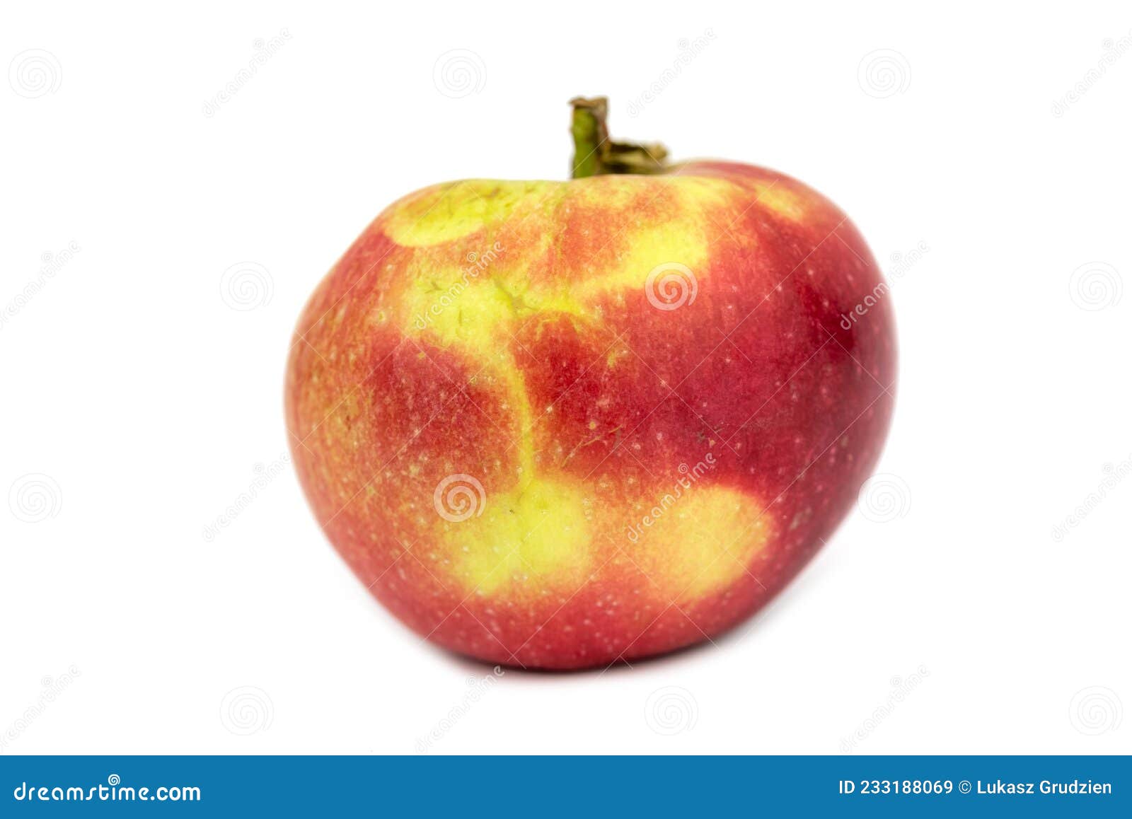 Lobo Apple stock image. Image of apple, healthy, sweet - 233188069
