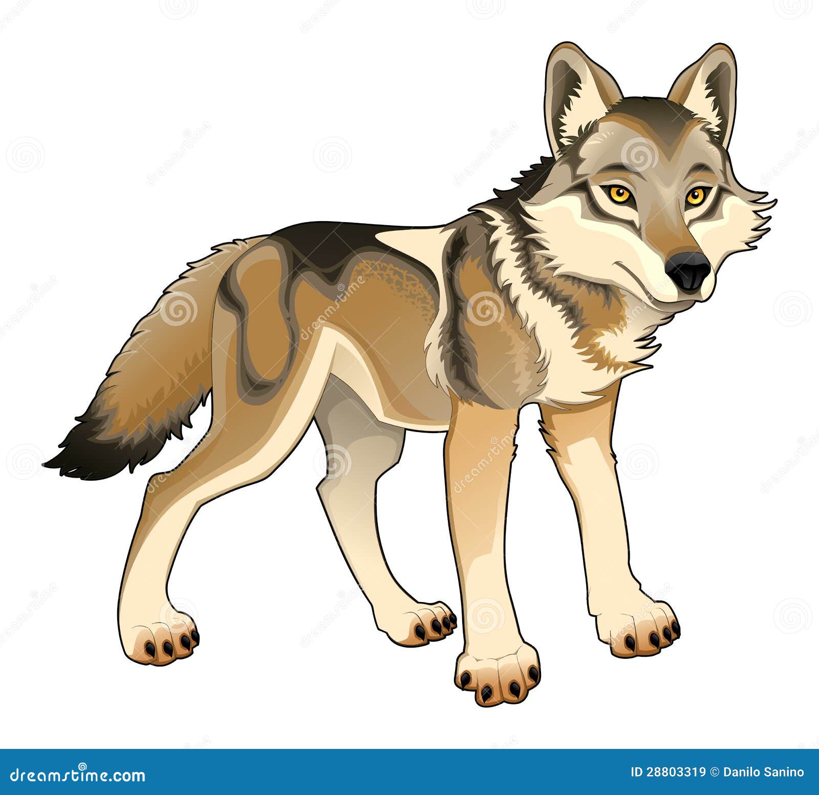 Animal Lobo Animado