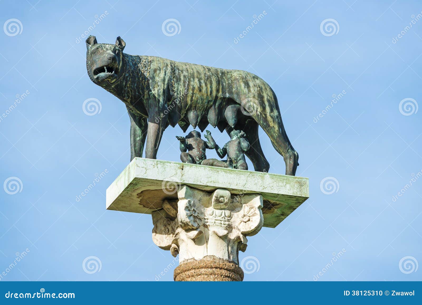 Lobo con Romulus y Remus foto de archivo. Imagen de lobo - 38125310