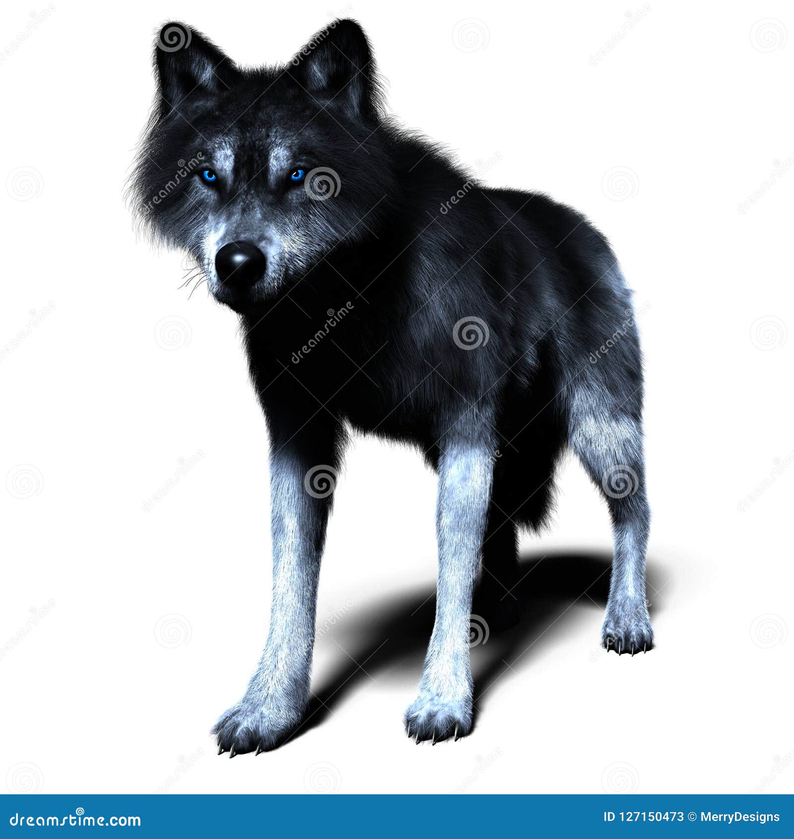 Lobo 3D na pose estando ilustração stock. Ilustração de silhueta ...