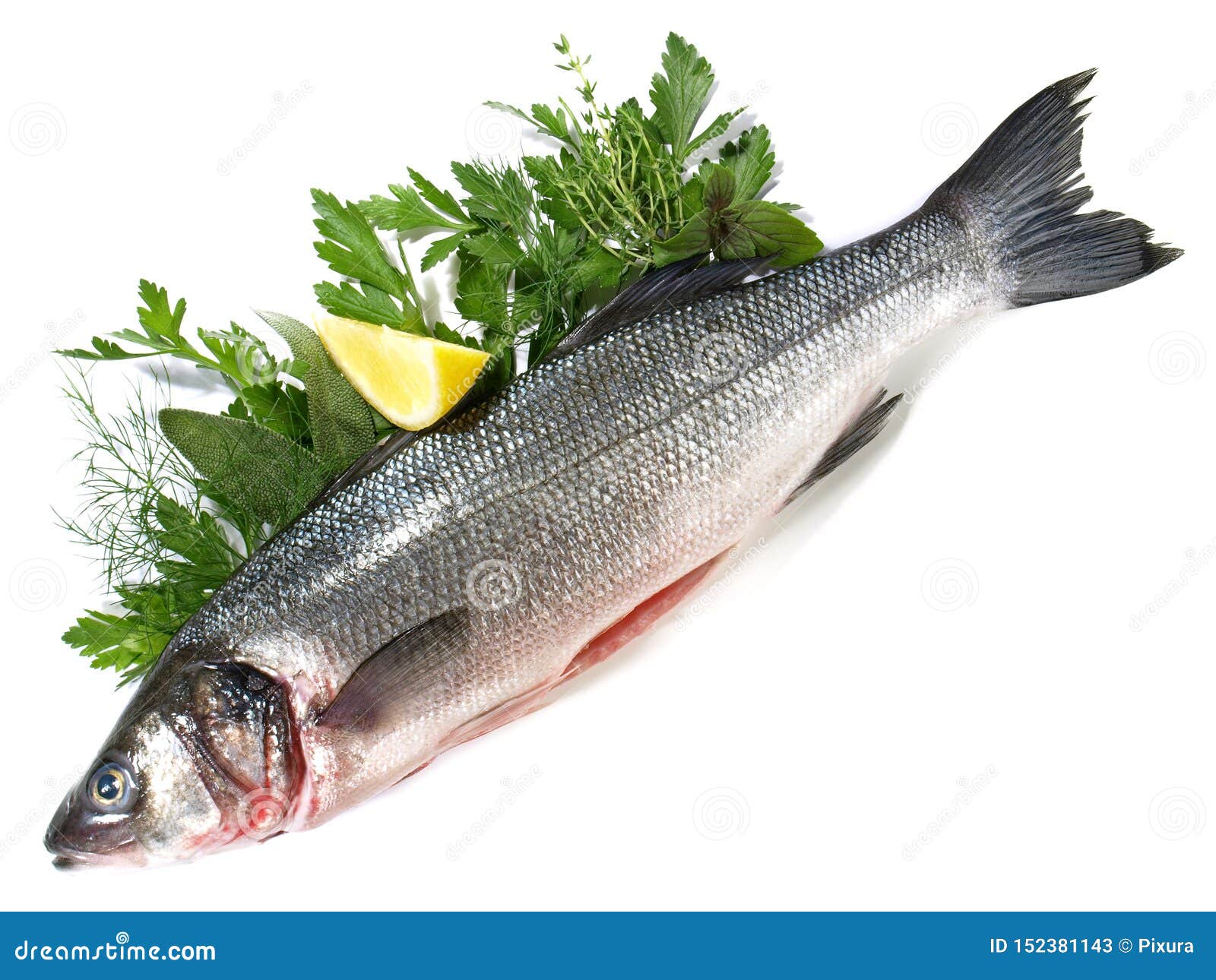 Lobo De Mar - Peixe Com Ervas Imagem de Stock - Imagem de erva, ninguém ...