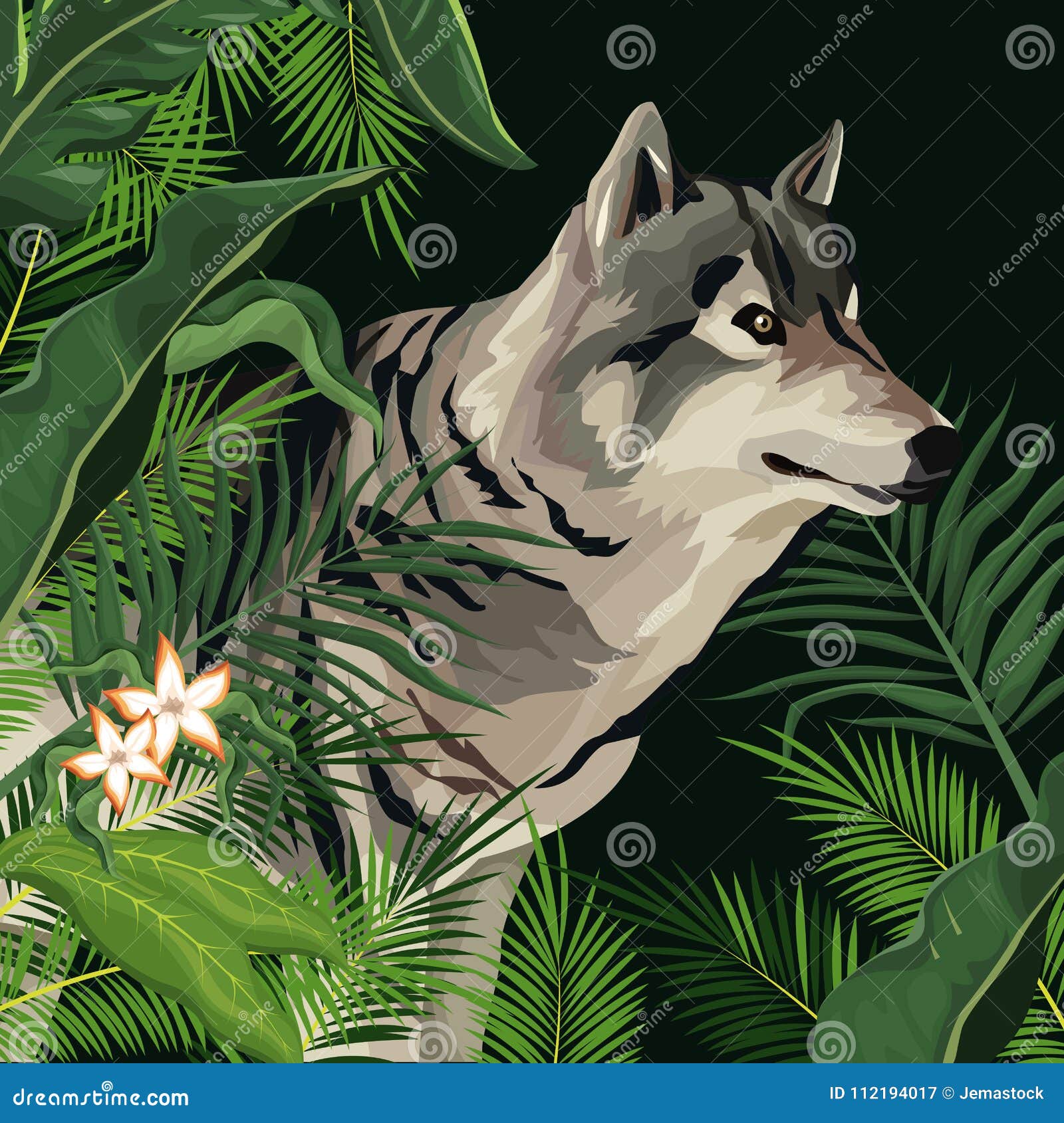 Lobo en la selva ilustración del vector. Ilustración de aislado - 112194017