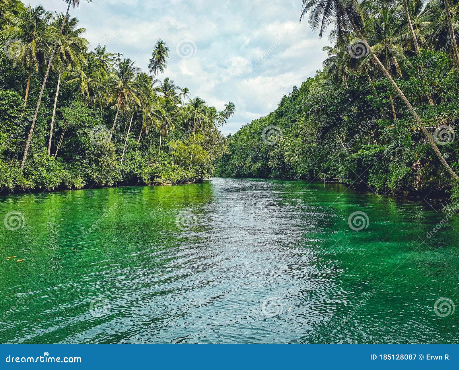 Loboc River, Bohol Island, Philippines. Stock Image - Image of ...