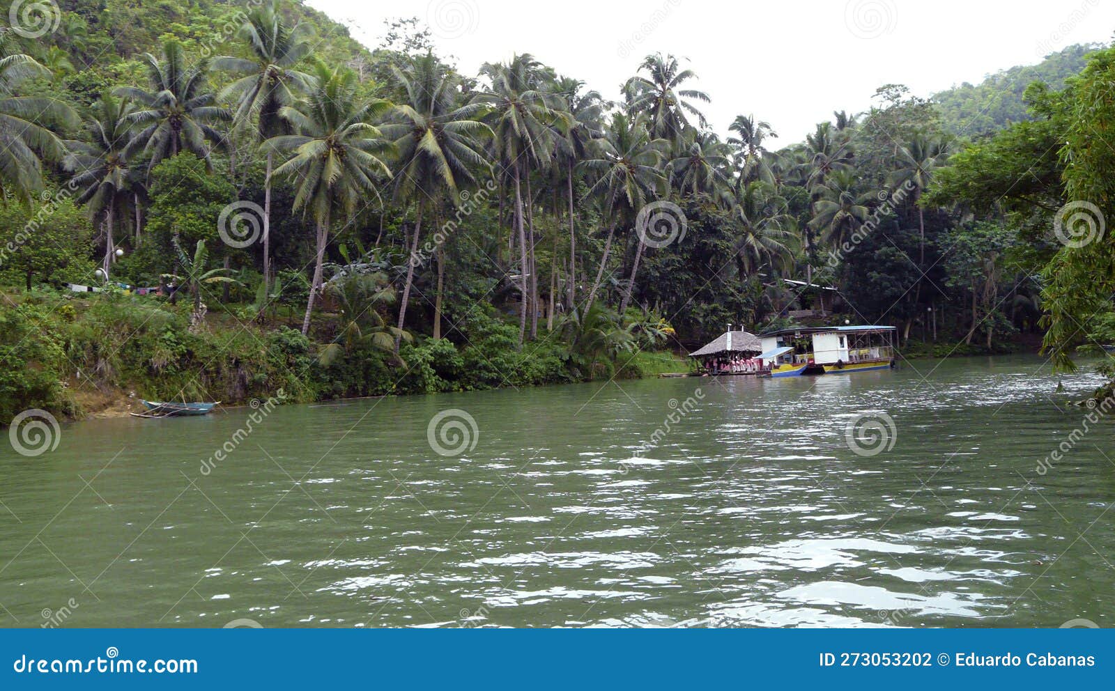 The Loboc River, Bohol Island, Visayas, Philippines Stock Photo - Image ...