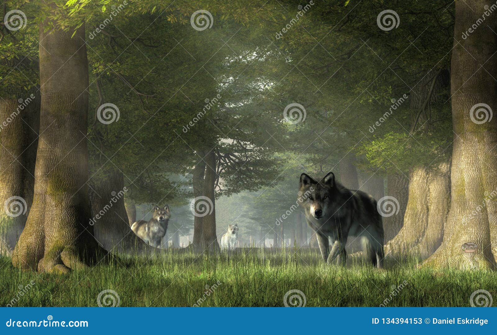 Lobos na floresta ilustração stock. Ilustração de madeira - 134394153