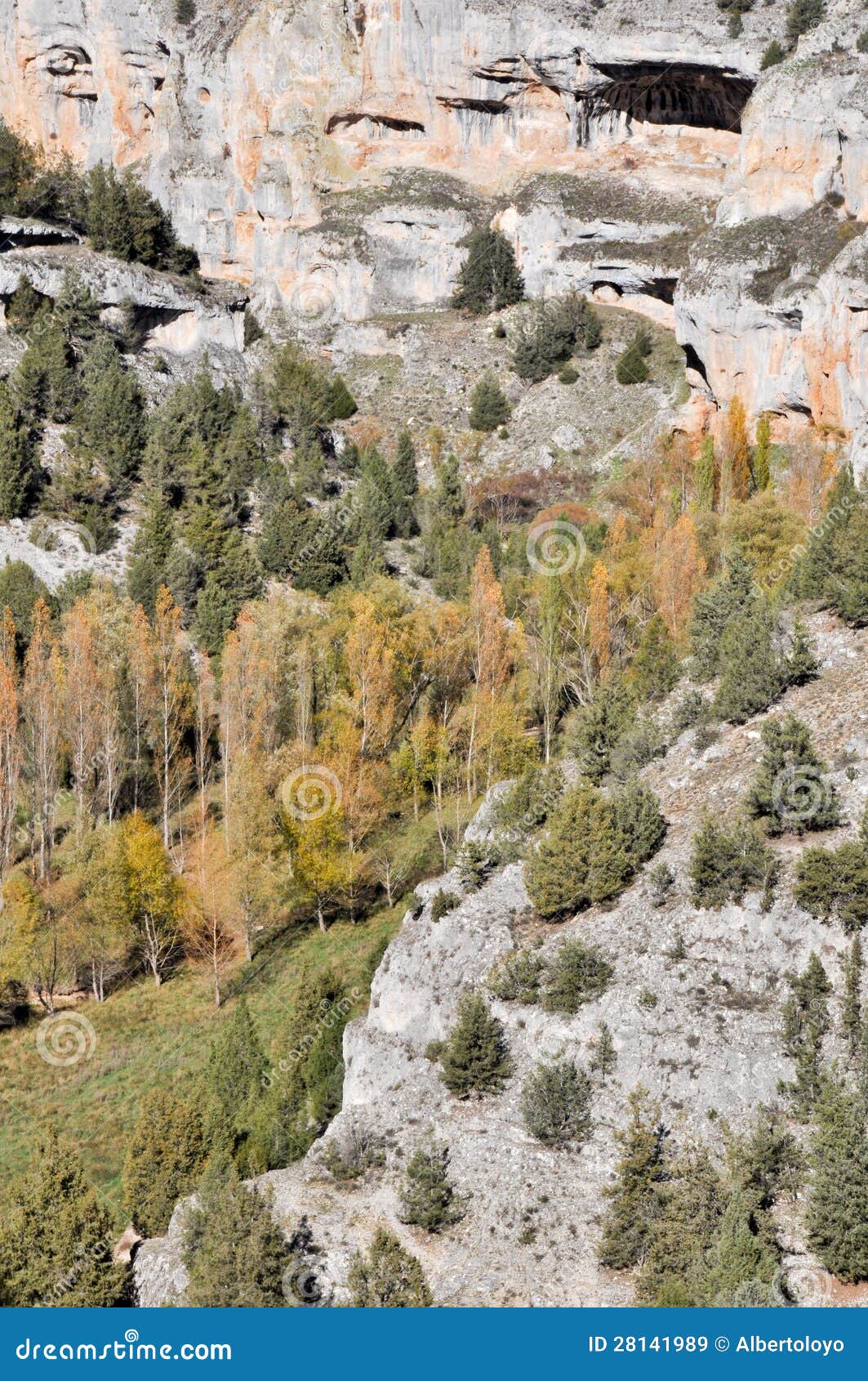 Lobos River Canyon, Soria (Spain) Stock Image - Image of path, rocky ...