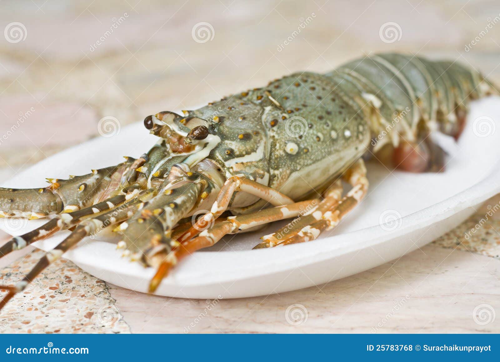 Lobster stock photo. Image of luxury, background, invertebrate - 25783768