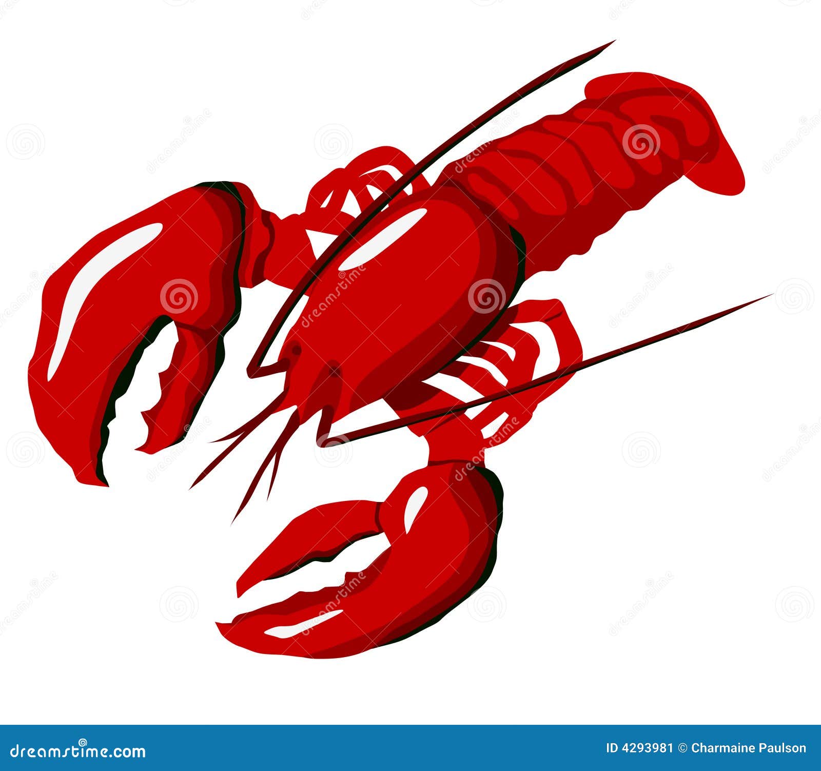 Lobster stock vector. Illustration of restaurant, marine - 4293981