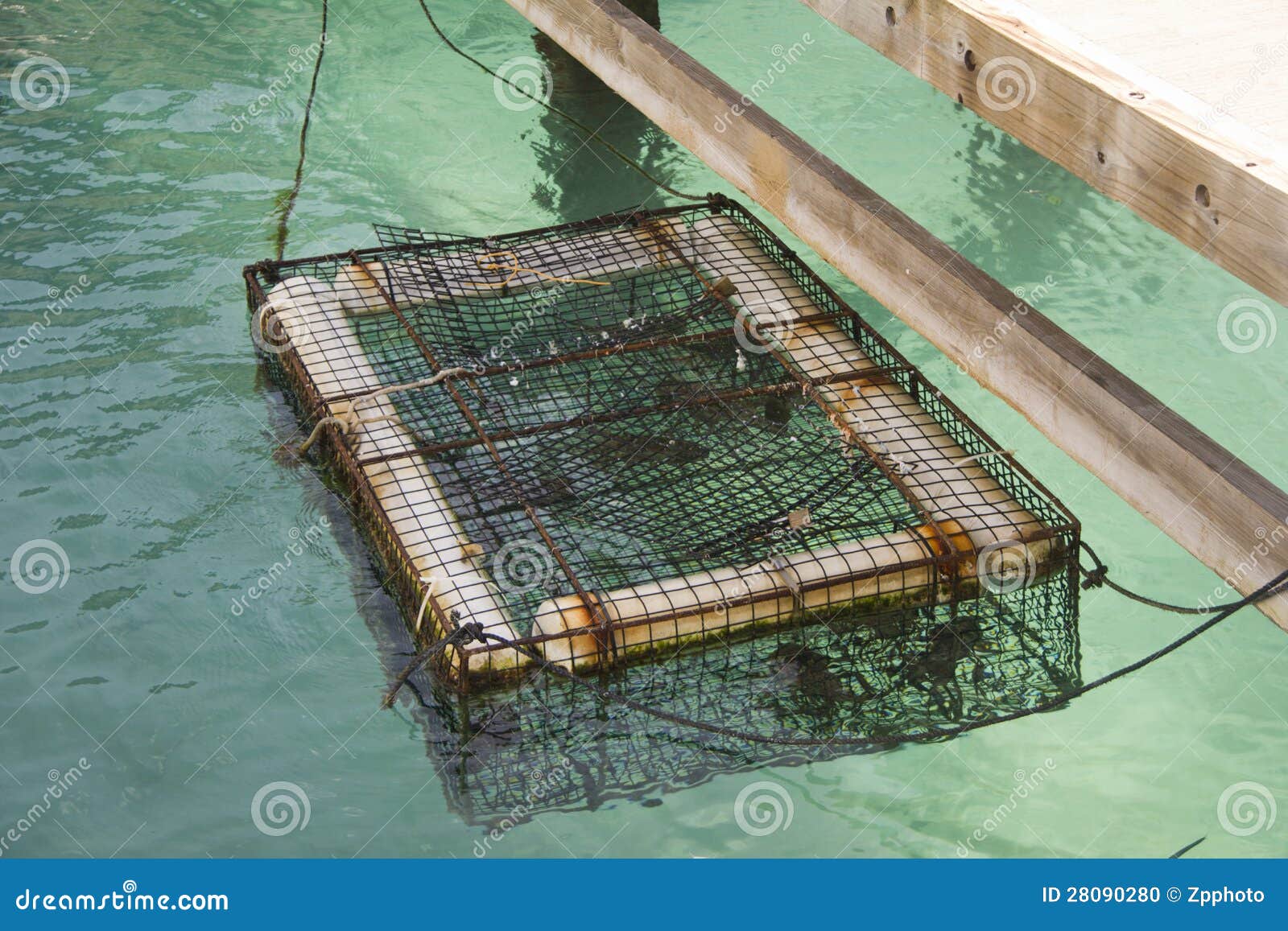 Lobster Cage stock photo. Image of catch, copy, coastline - 28090280