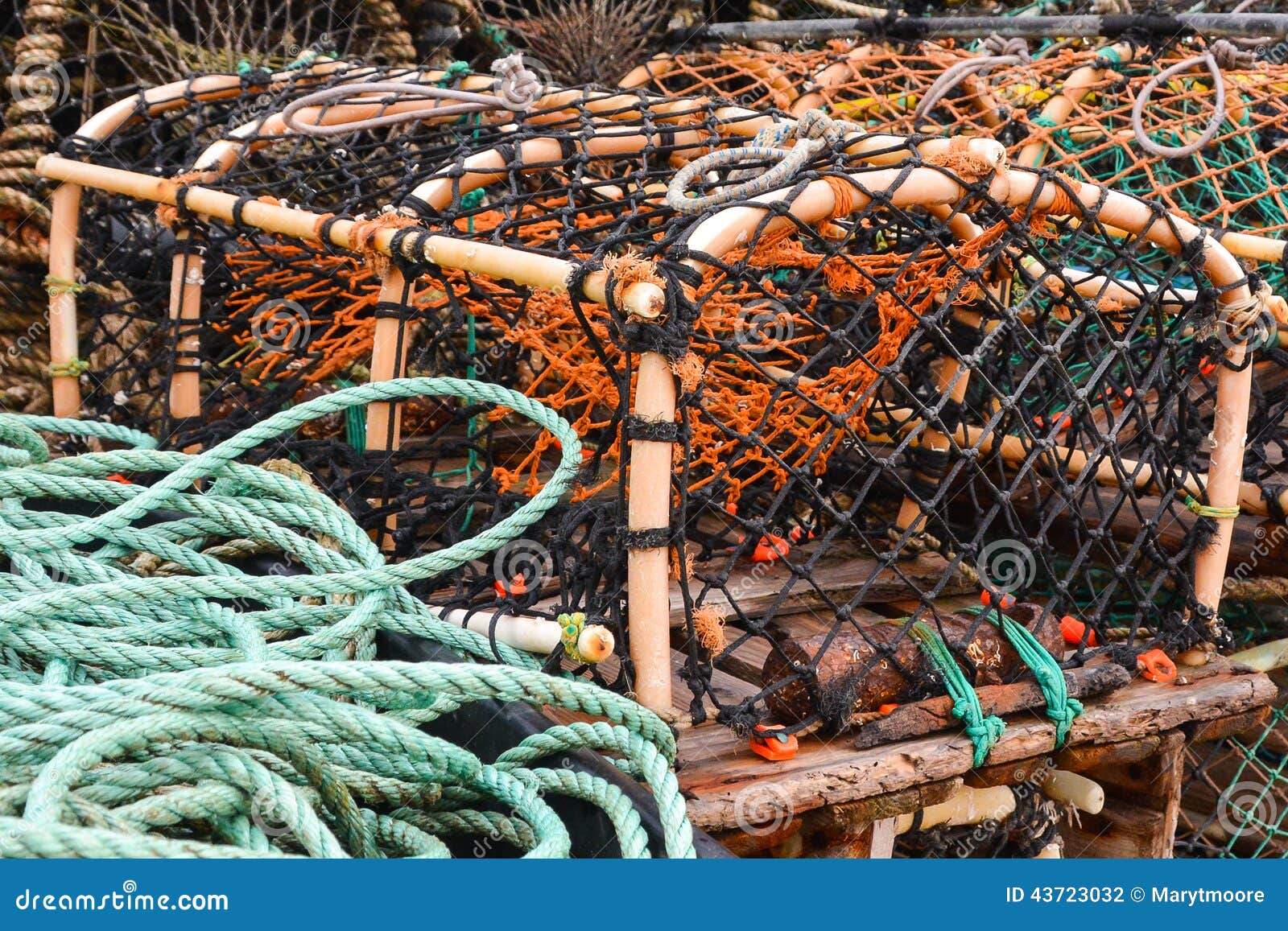 Lobster Cage stock photo. Image of lobster, harbour, nets - 43723032