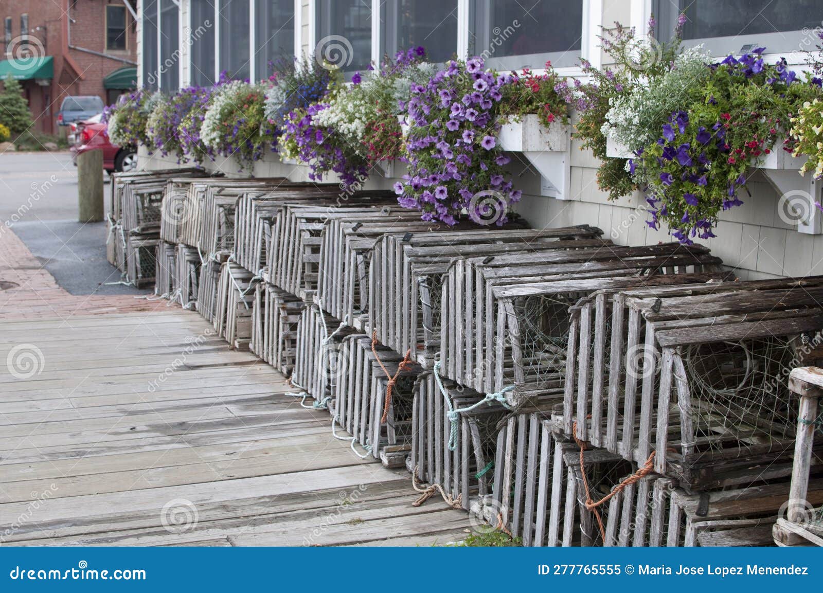 Lobster Cages in a Row. Candem, Maine Stock Image - Image of ...