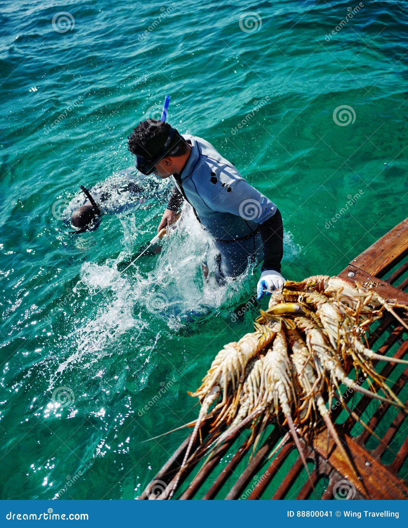 Lobster catching in Cuba editorial photo. Image of aquatic - 88800041