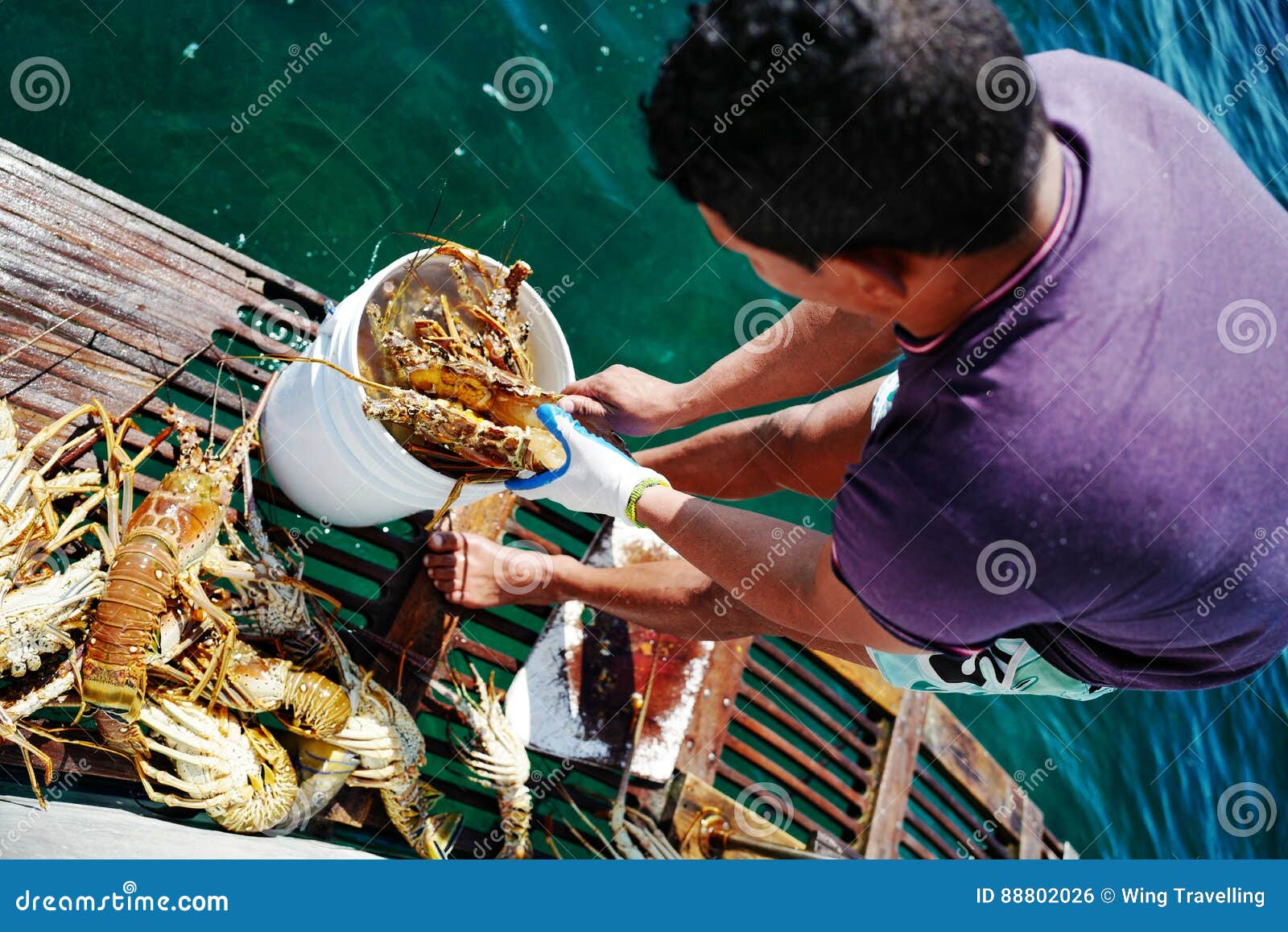 Lobster catching in Cuba editorial photo. Image of beautiful - 88802026