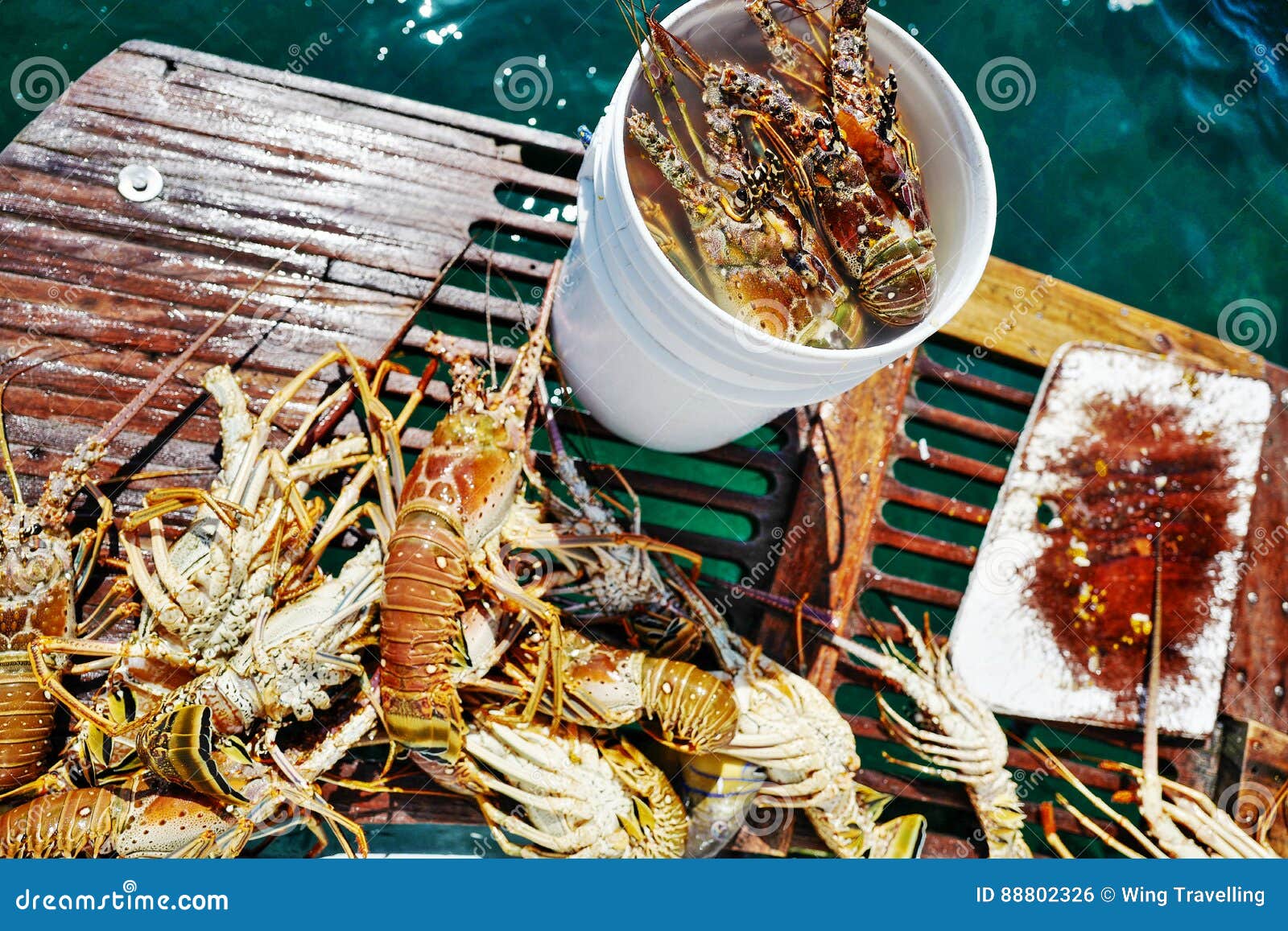 Lobster catching in Cuba stock photo. Image of luxury - 88802326