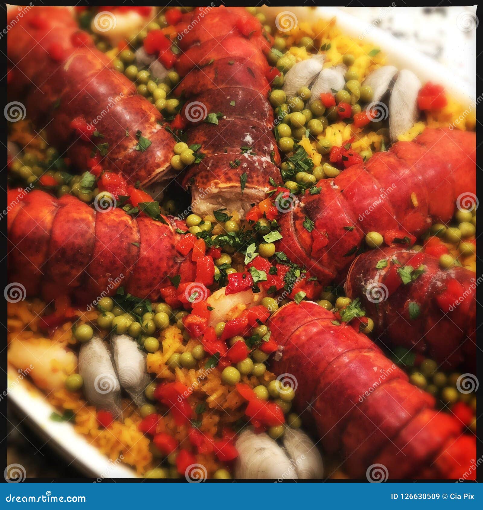 Lobster risotto close up stock image. Image of mussels - 126630509