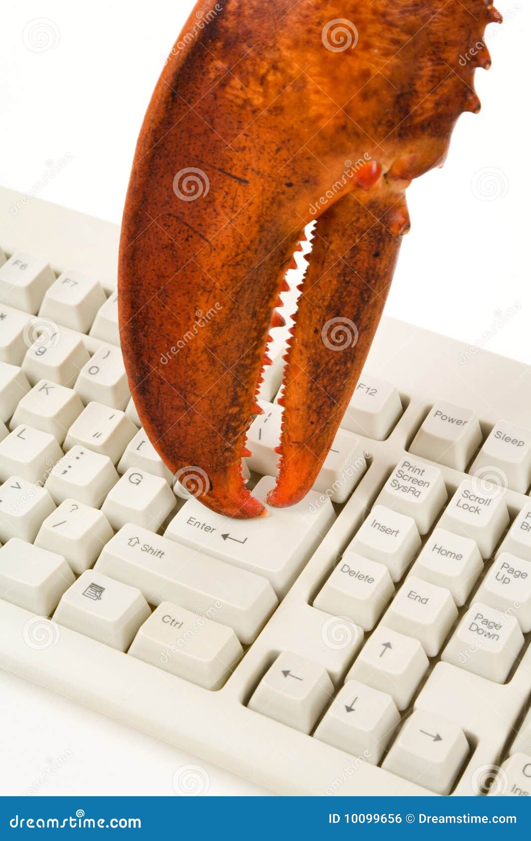 Lobster Claw And Computer Keyboard Stock Photo - Image of lobster, claw ...