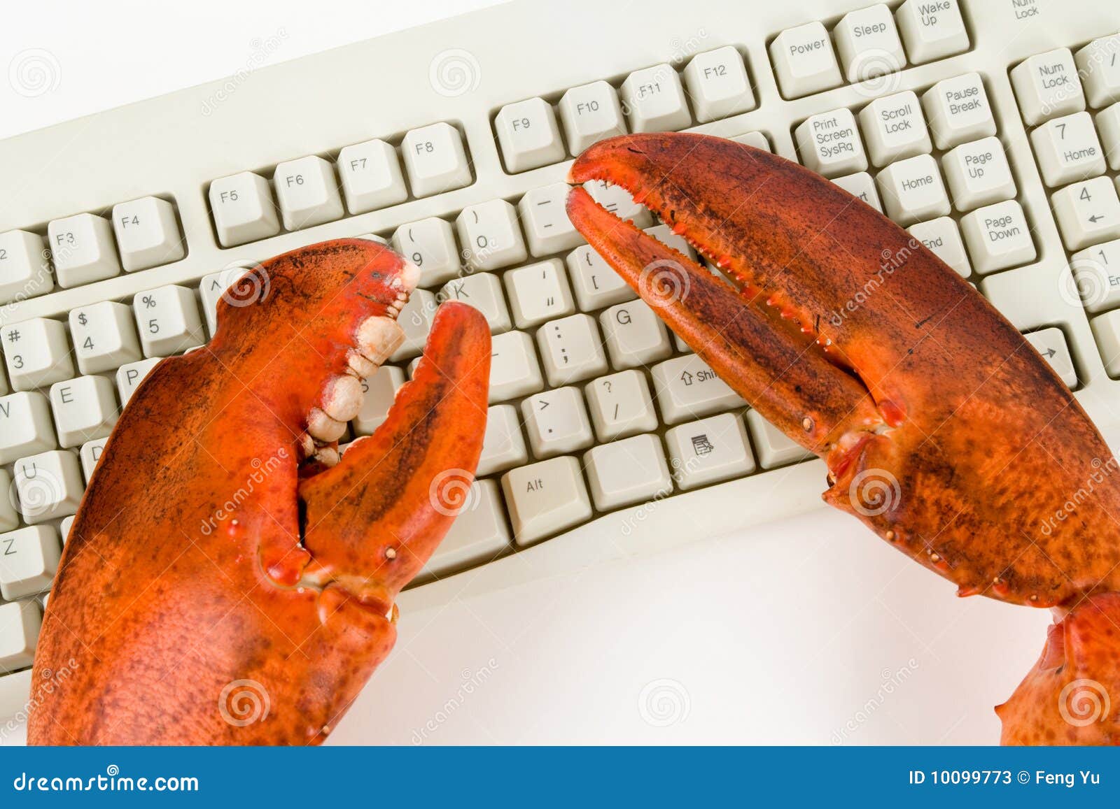 Lobster Claw and Computer Keyboard Stock Image - Image of safety ...