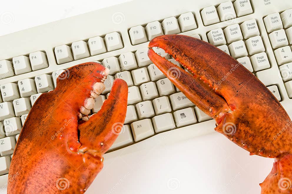 Lobster Claw and Computer Keyboard Stock Image - Image of safety ...