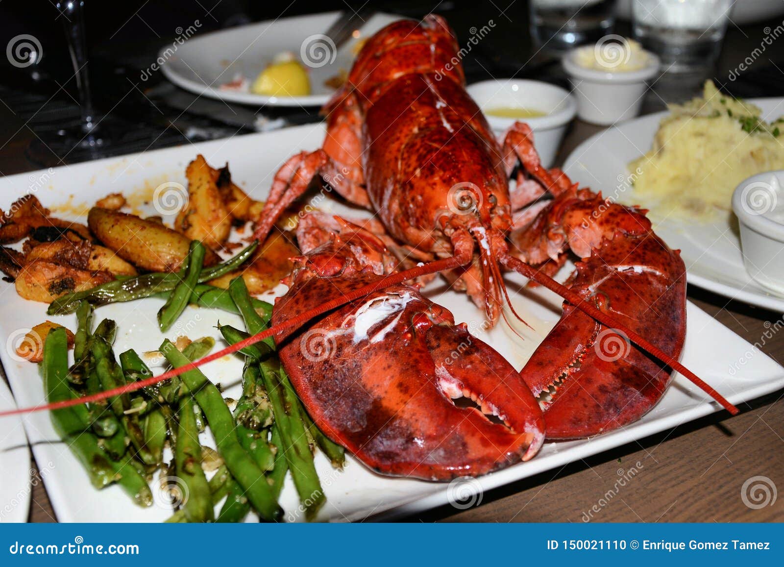 Lobster dinner stock photo. Image of decoration, chef - 150021110
