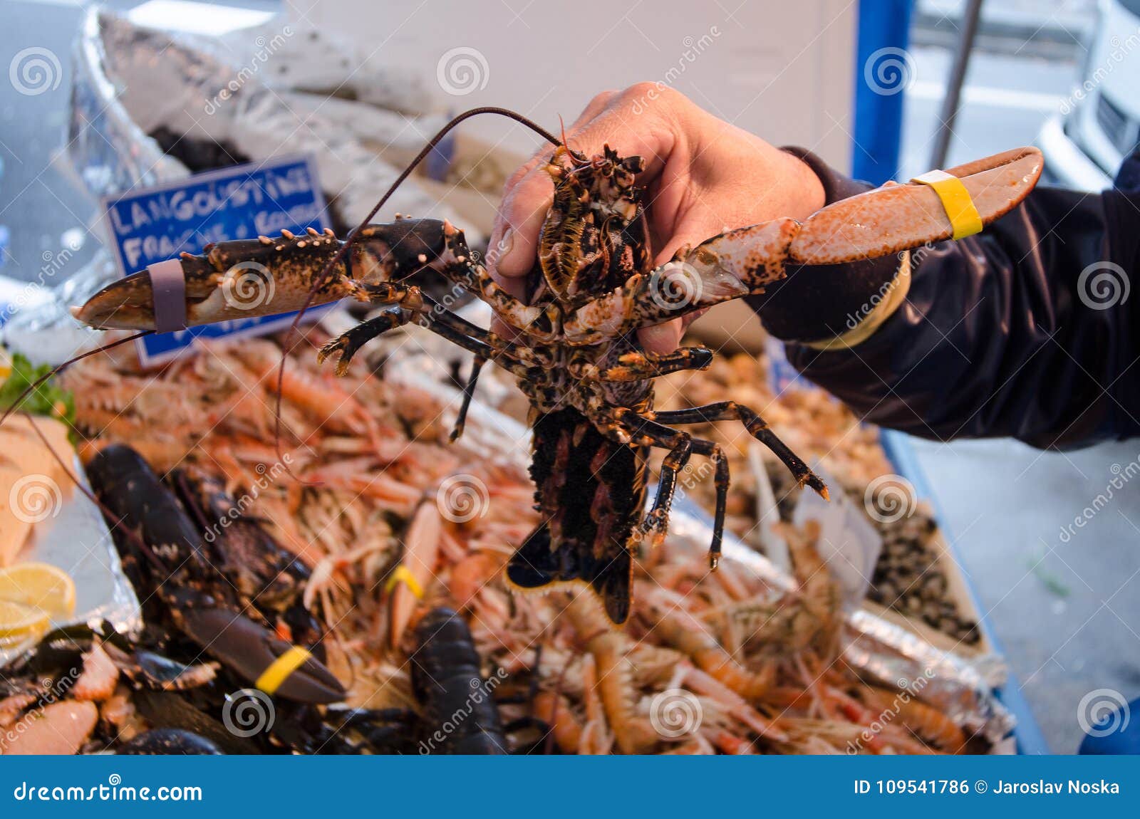 Lobster on the fish market stock photo. Image of beautiful - 109541786