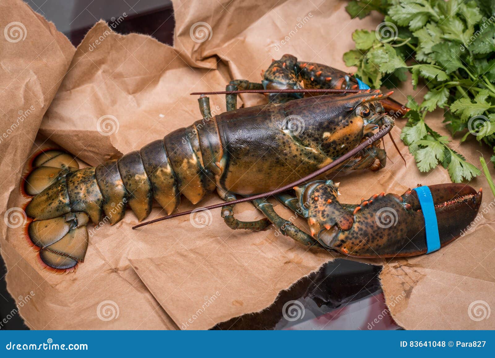 Lobster stock photo. Image of delicious, nutrition, wooden - 83641048