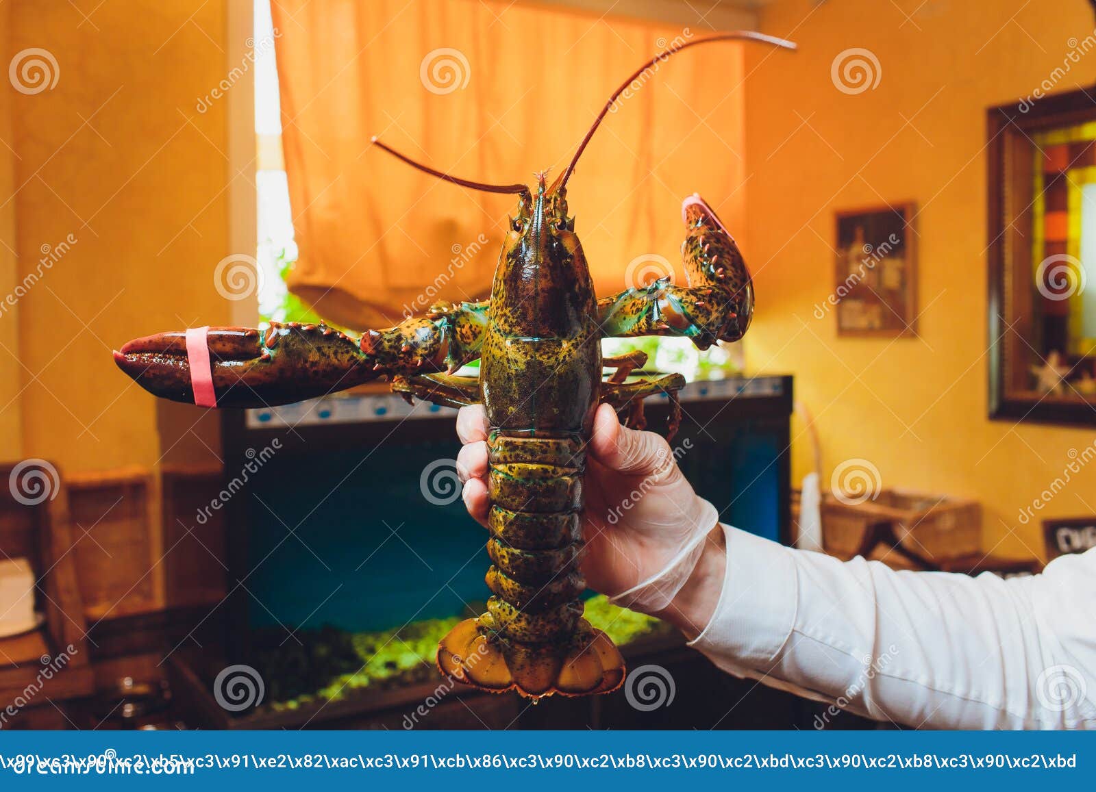 Lobster. A Hand Holding A Giant Lobster At A Seafood Buffet. Soft Focus ...
