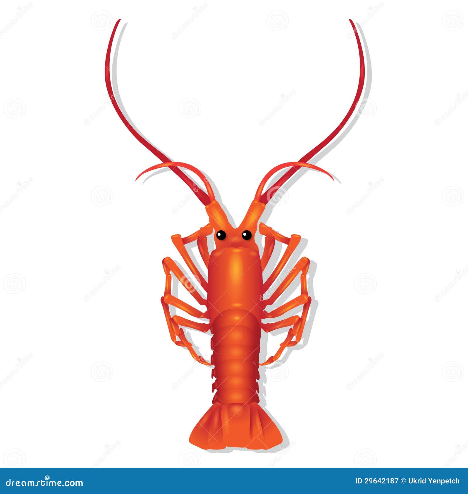 Lobster Illustration Vector Stock Vector - Illustration of dine, label ...