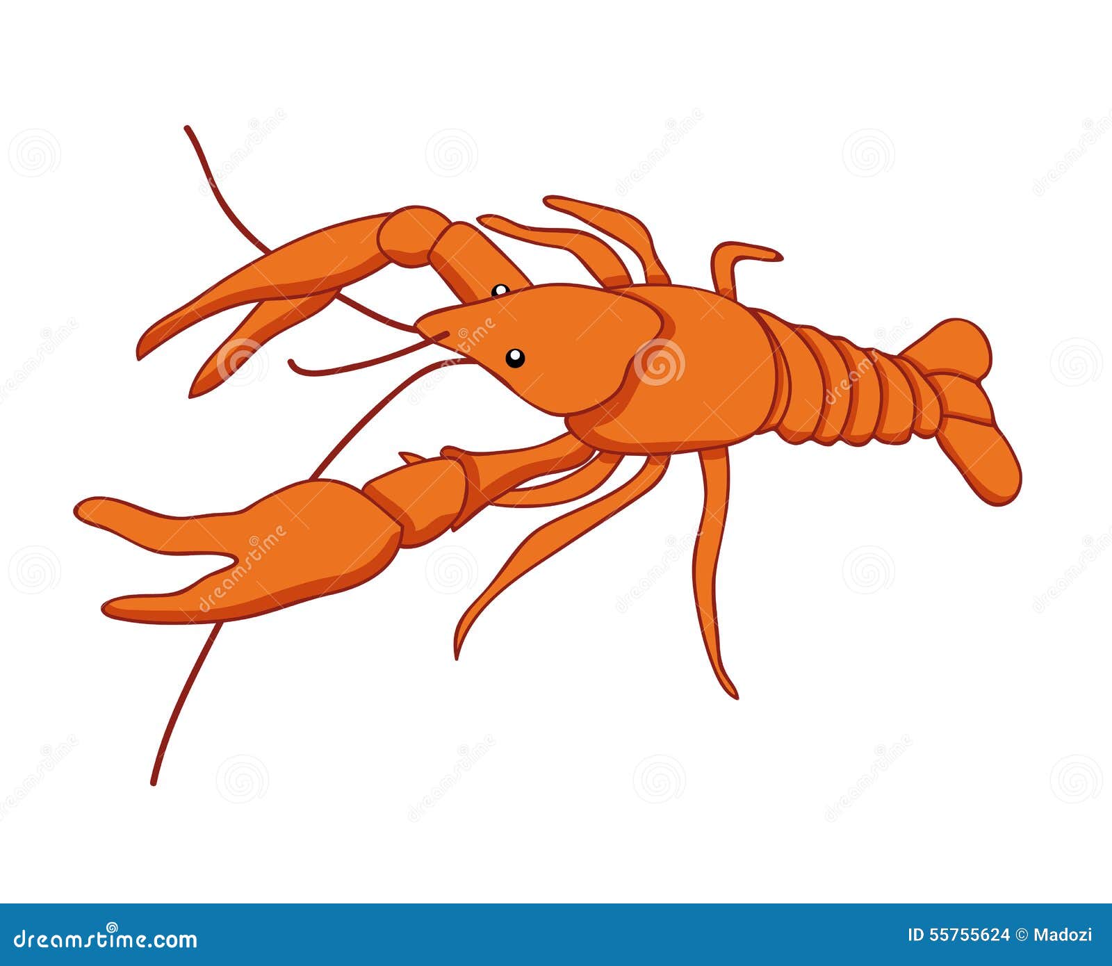 Lobster Illustration Stock Vector - Image: 55755624