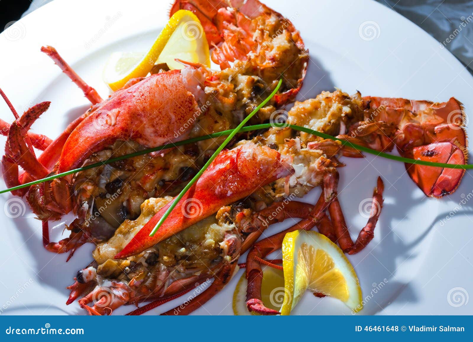 Lobster with lemon stock photo. Image of ocean, orange - 46461648