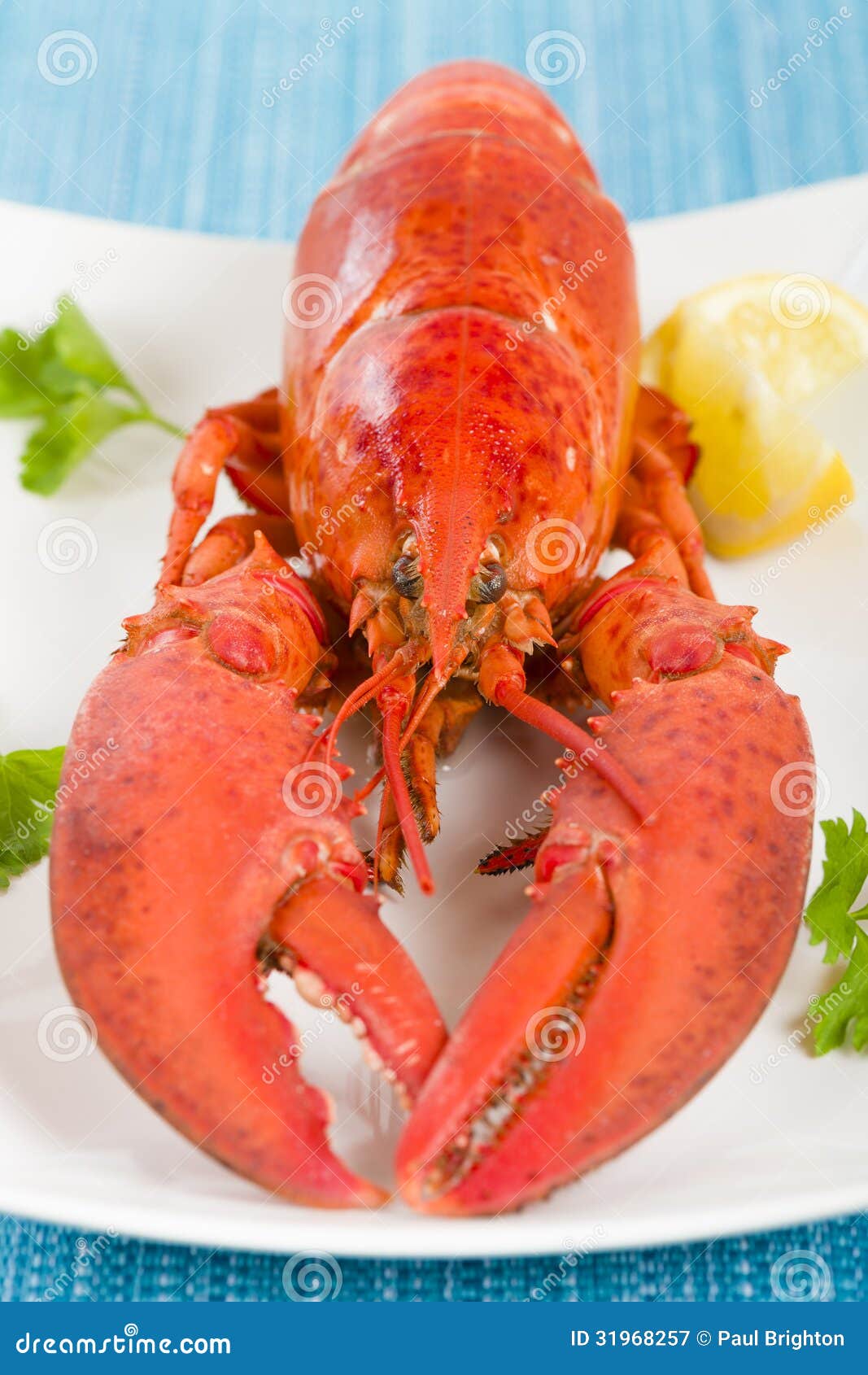 Lobster with Lemon Wedges. stock image. Image of party - 31968257