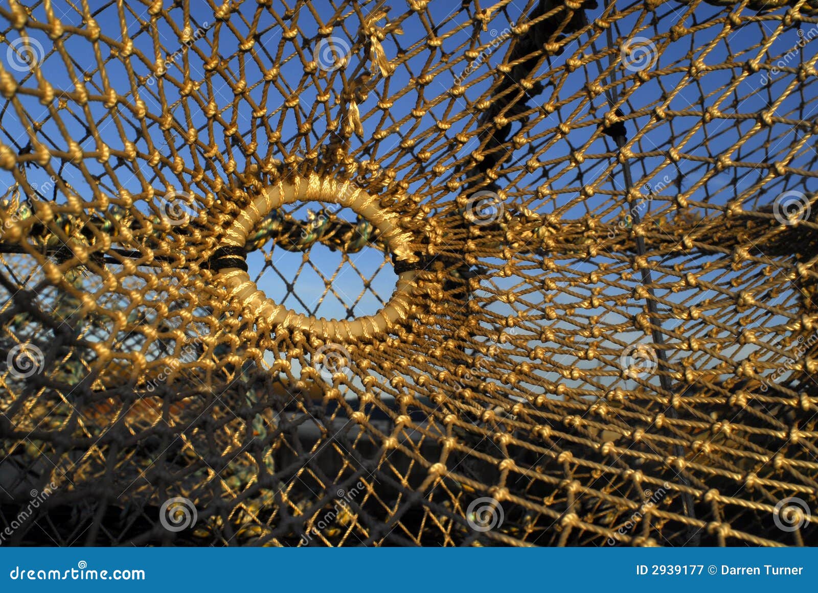 Lobster Net stock image. Image of lobsters, fishing, nets - 2939177