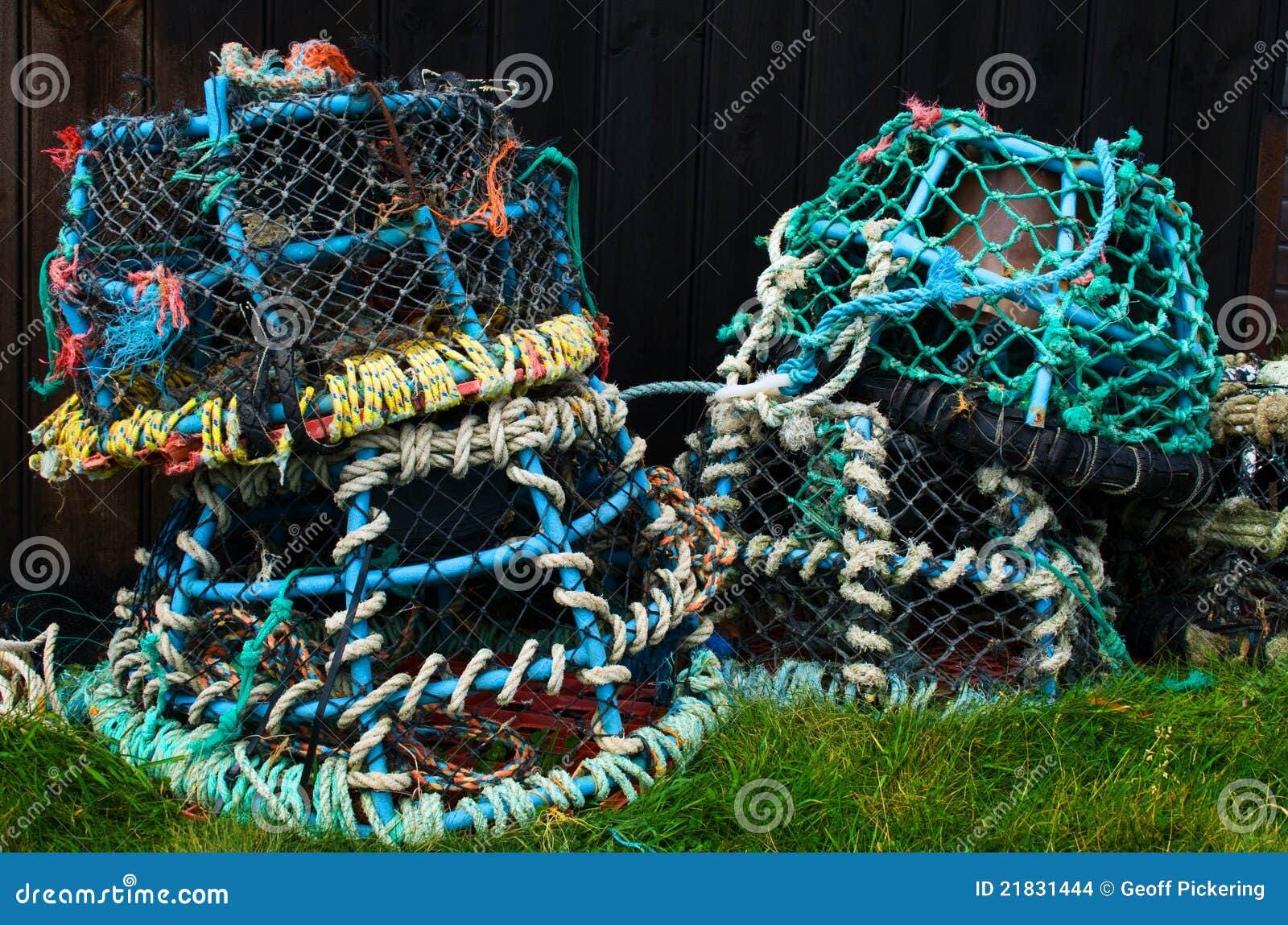 Lobster Nets stock photo. Image of coast, fishing, container - 21831444