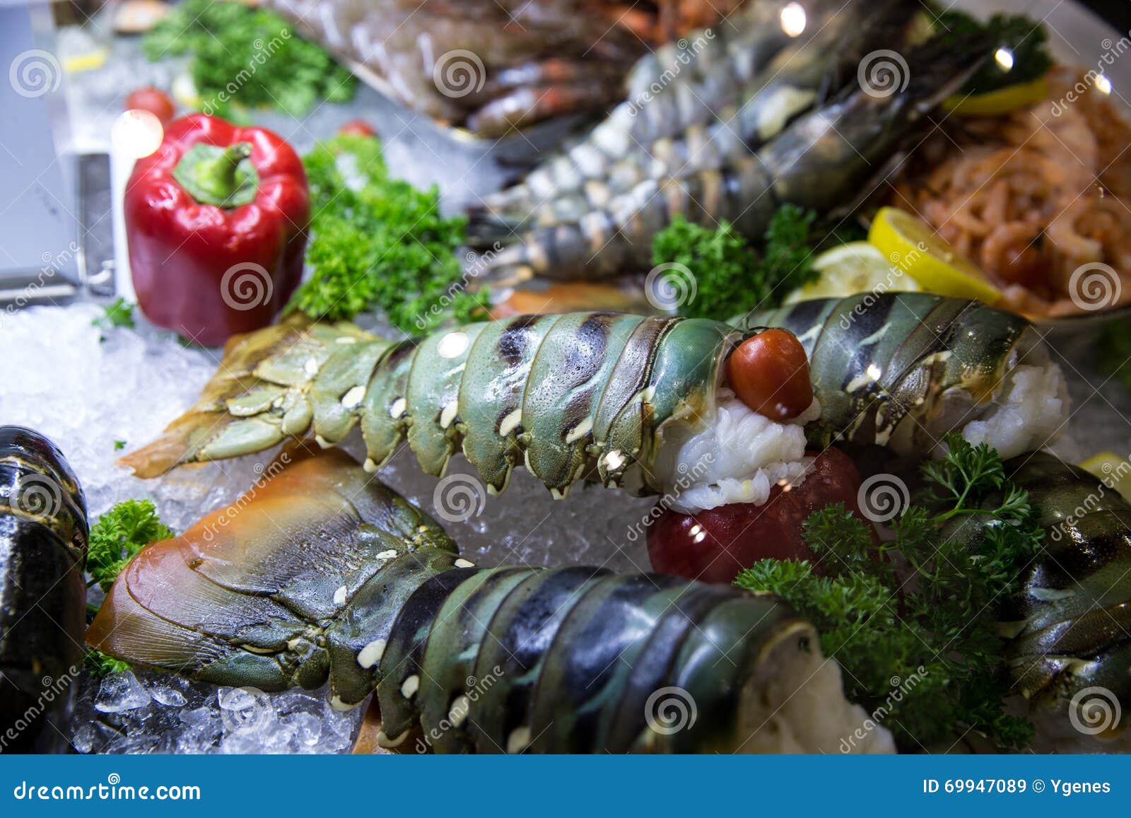 Lobster parts stock image. Image of tray, aphrodisiac - 69947089