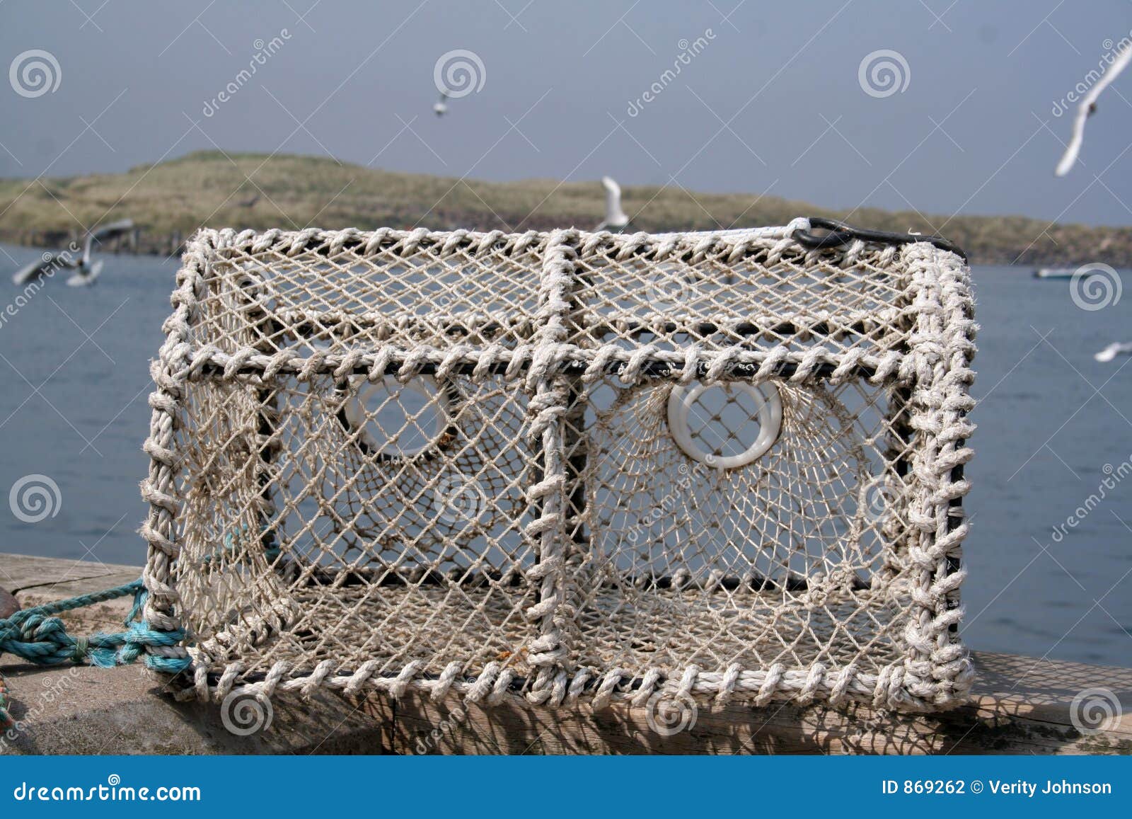Lobster pot stock photo. Image of netting, boats, nothumberland - 869262
