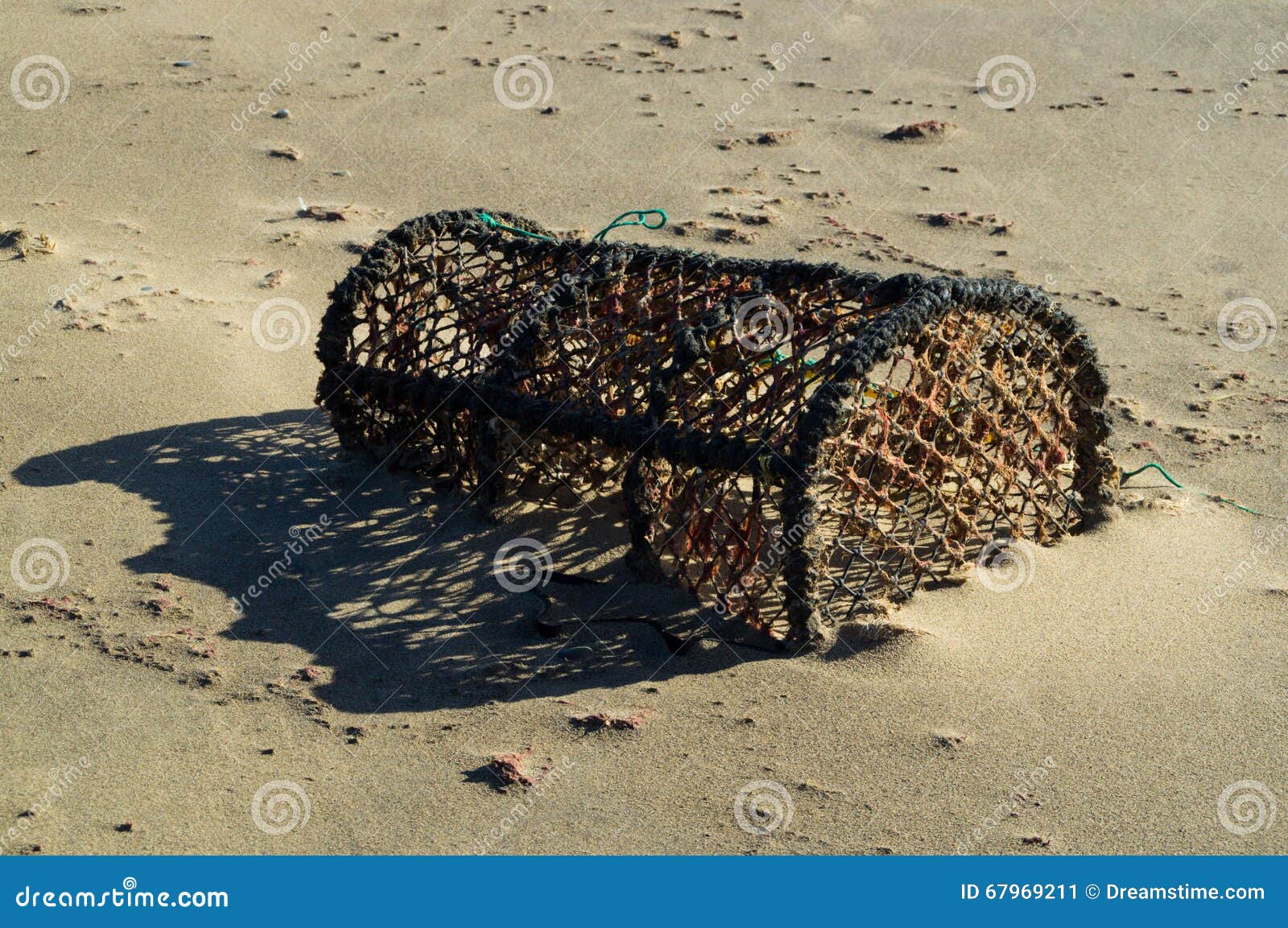 Lobster pot stock image. Image of lobster, yorkshire - 67969211