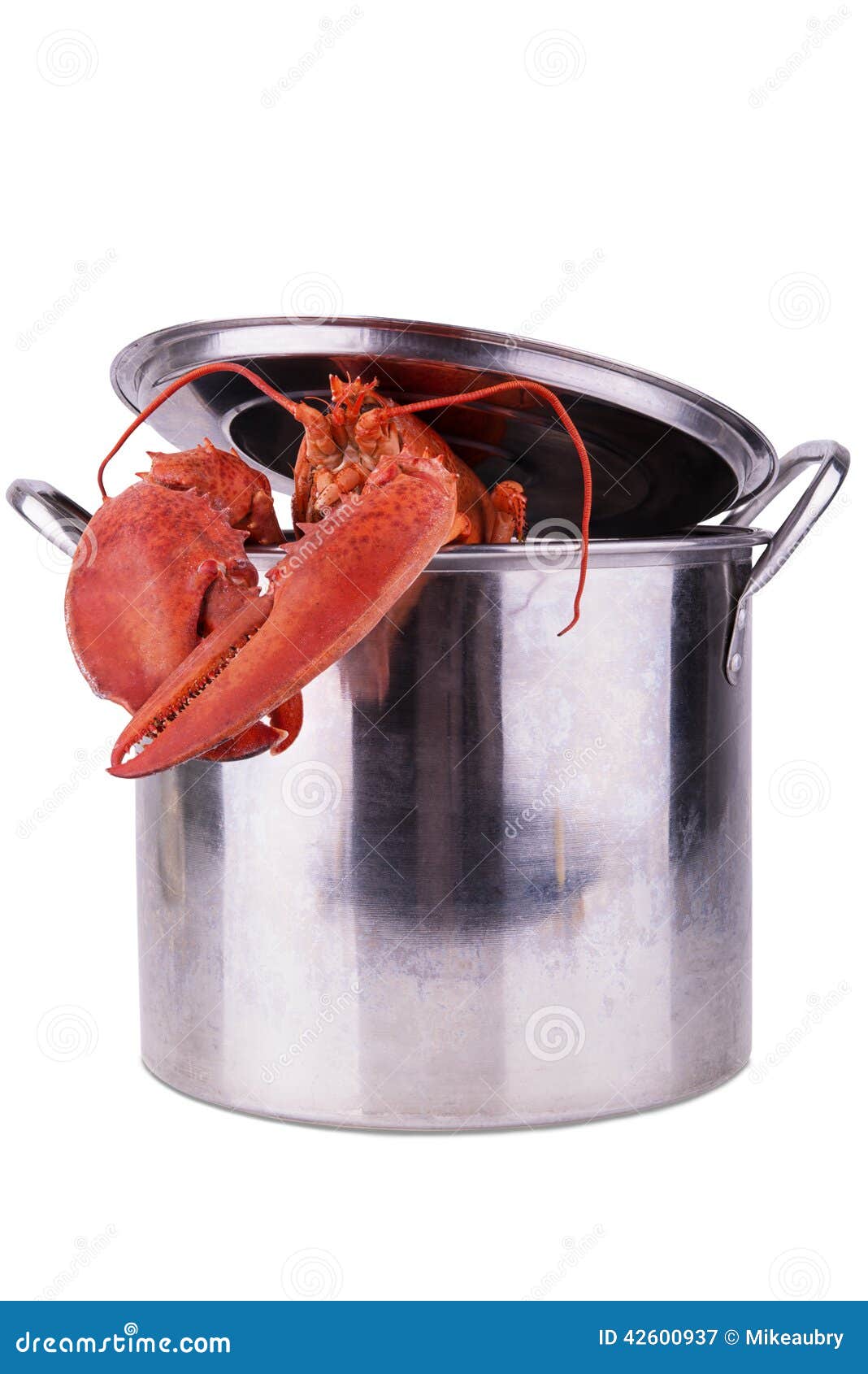 Lobster in pot stock image. Image of luxury, shot, background - 42600937