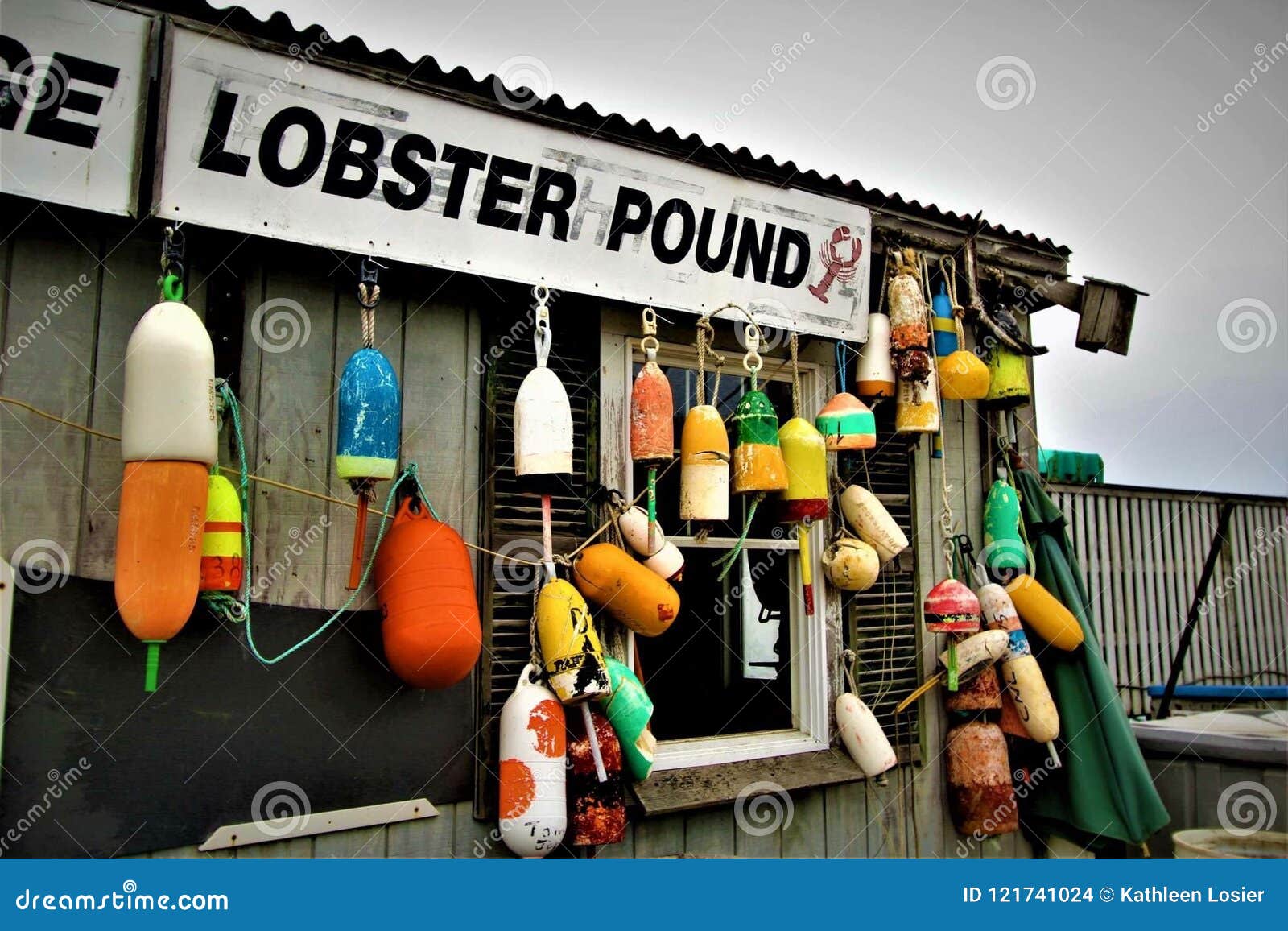 Lobster pound editorial stock image. Image of lobster - 121741024