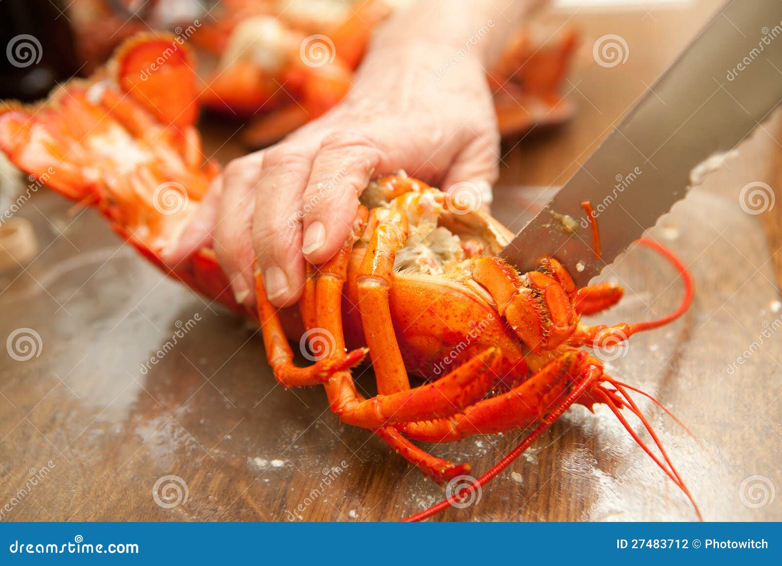 Lobster preparation stock photo. Image of claws, knife - 27483712